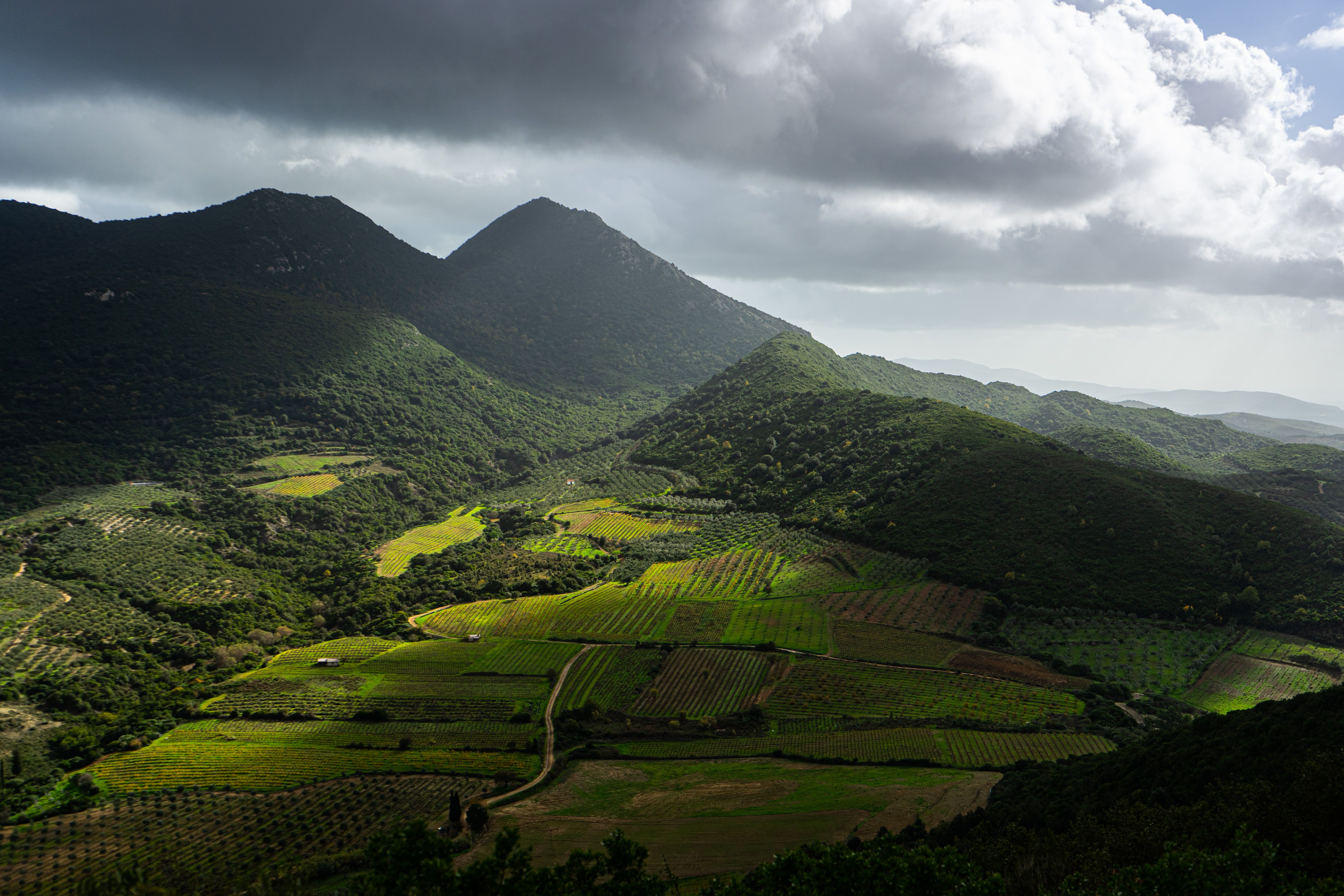 Overcast over Green Fields and Forest on Hills · Free Stock Photo