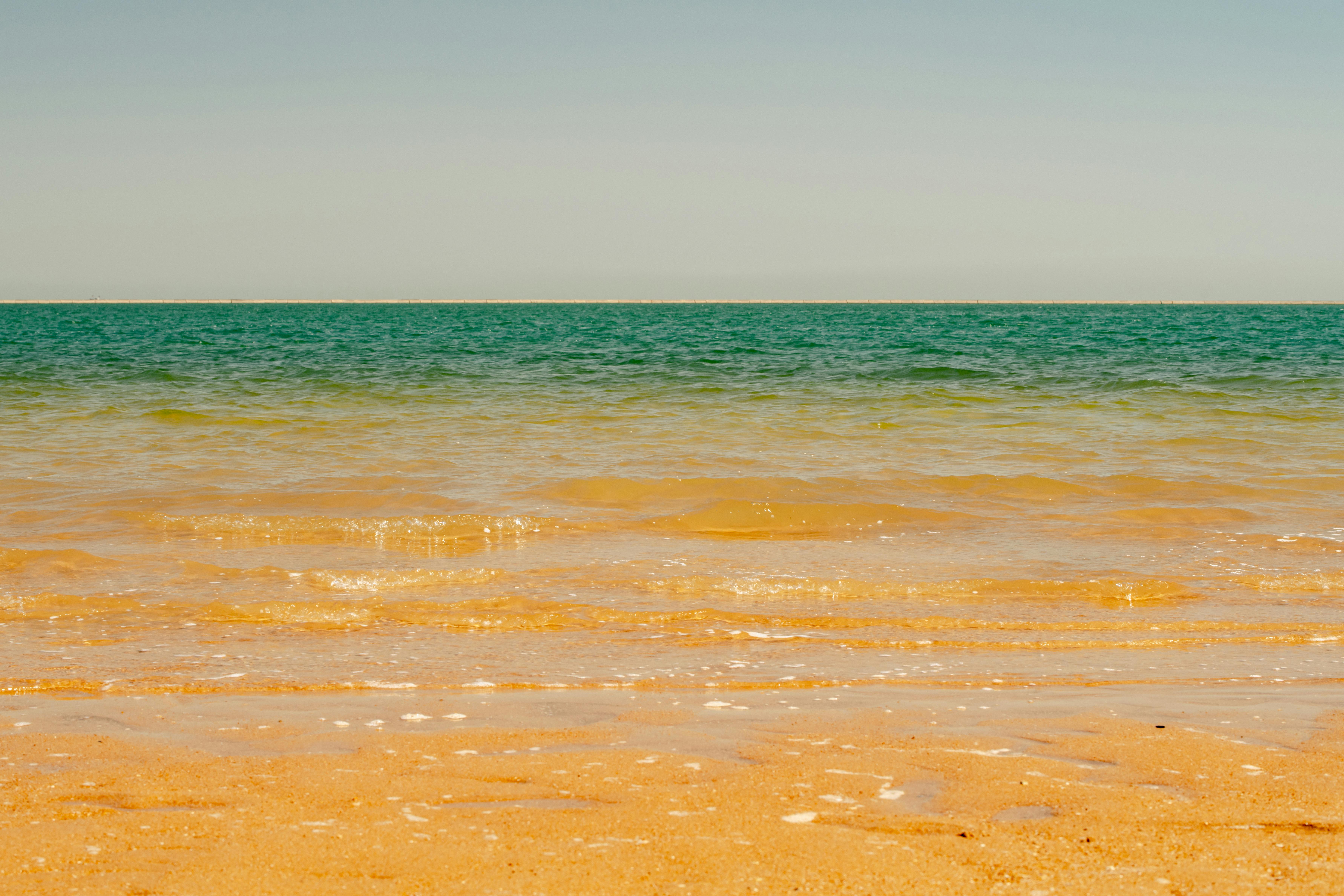 Sea Shore and Sand on Beach · Free Stock Photo