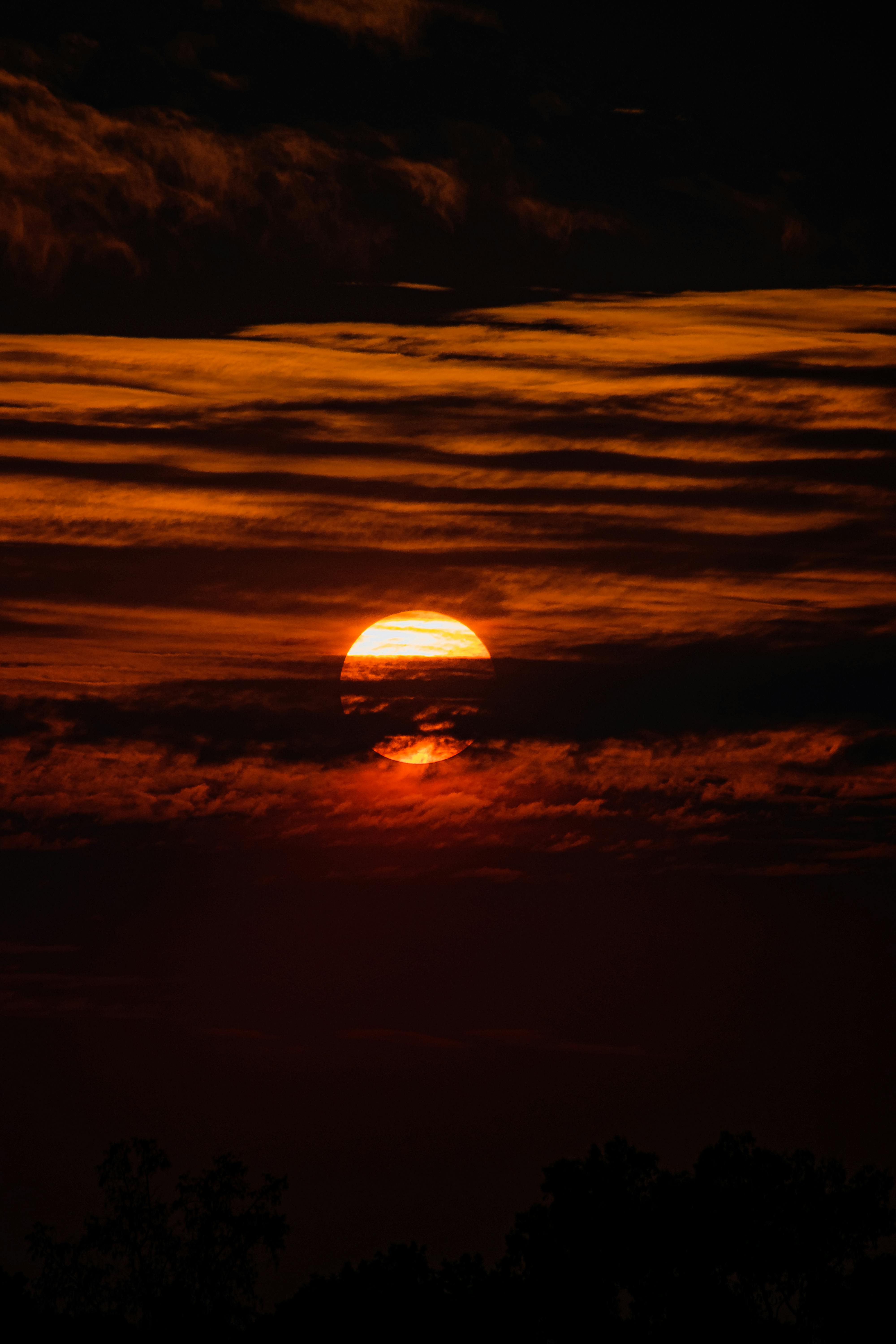 Silhouette of Flying Birds under Moon Eclipse · Free Stock Photo