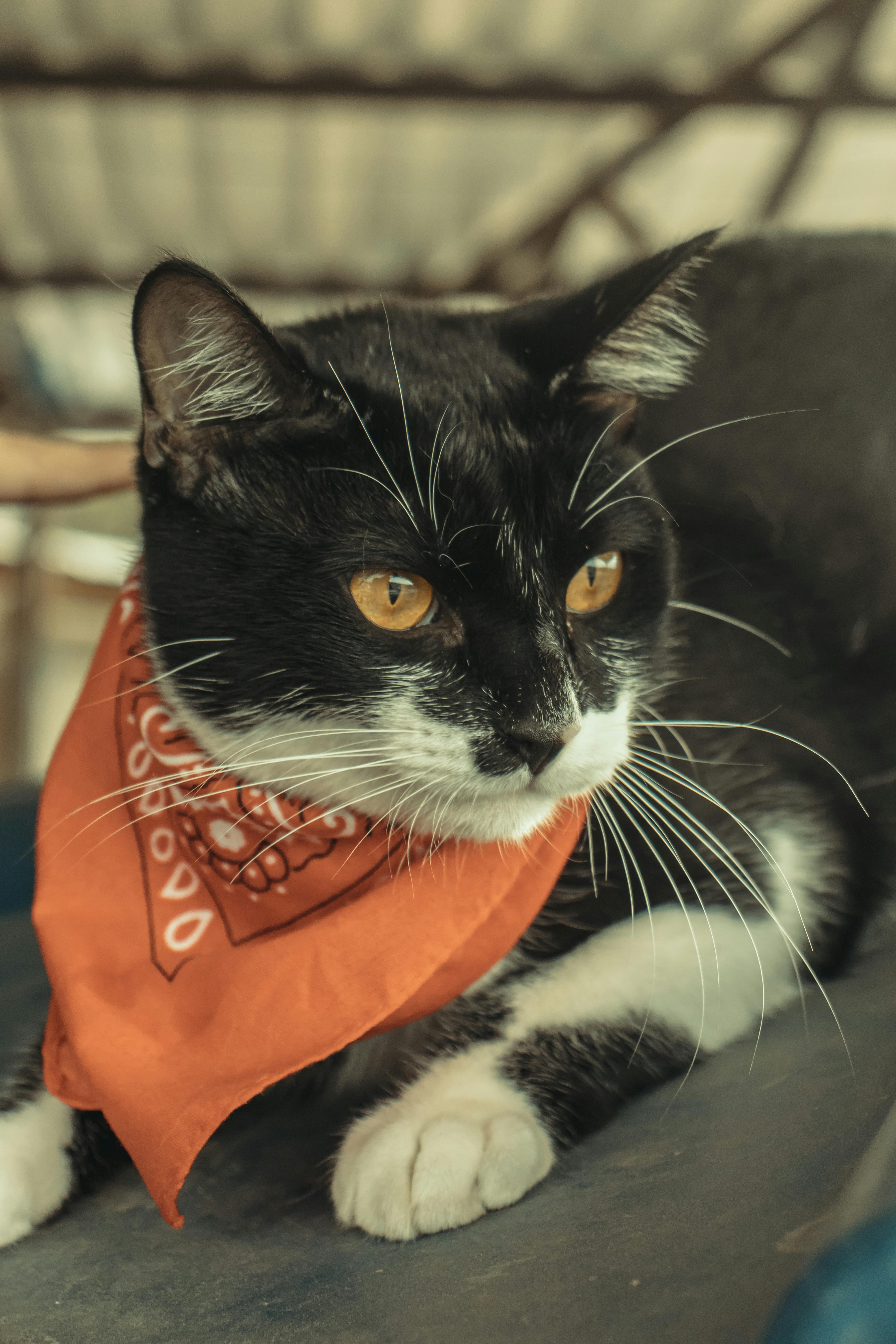 Walpapers Photos, Download The BEST Free Walpapers Stock Photos & HD Images