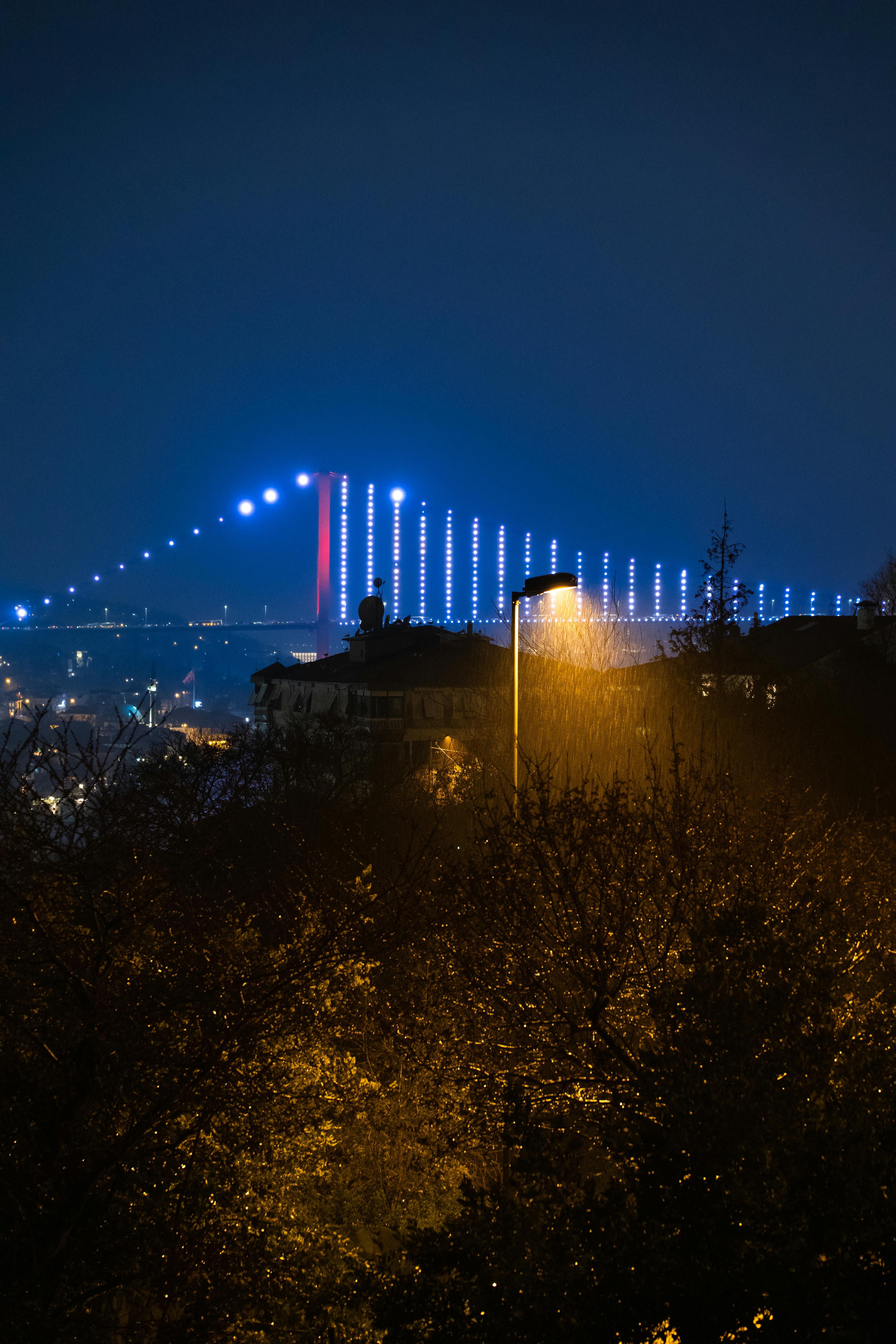 Illuminated Bridge and Streetlight · Free Stock Photo