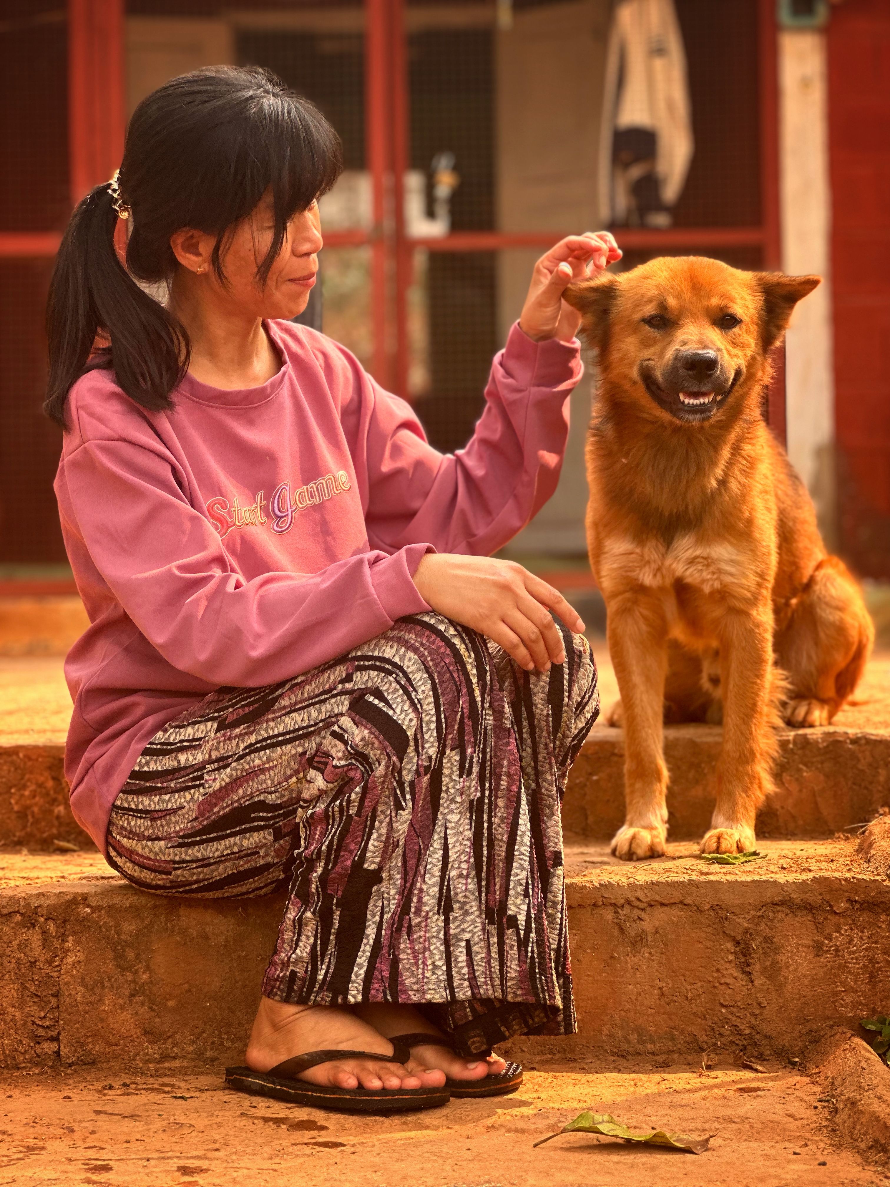 Woman Sitting with Dog in Forest · Free Stock Photo