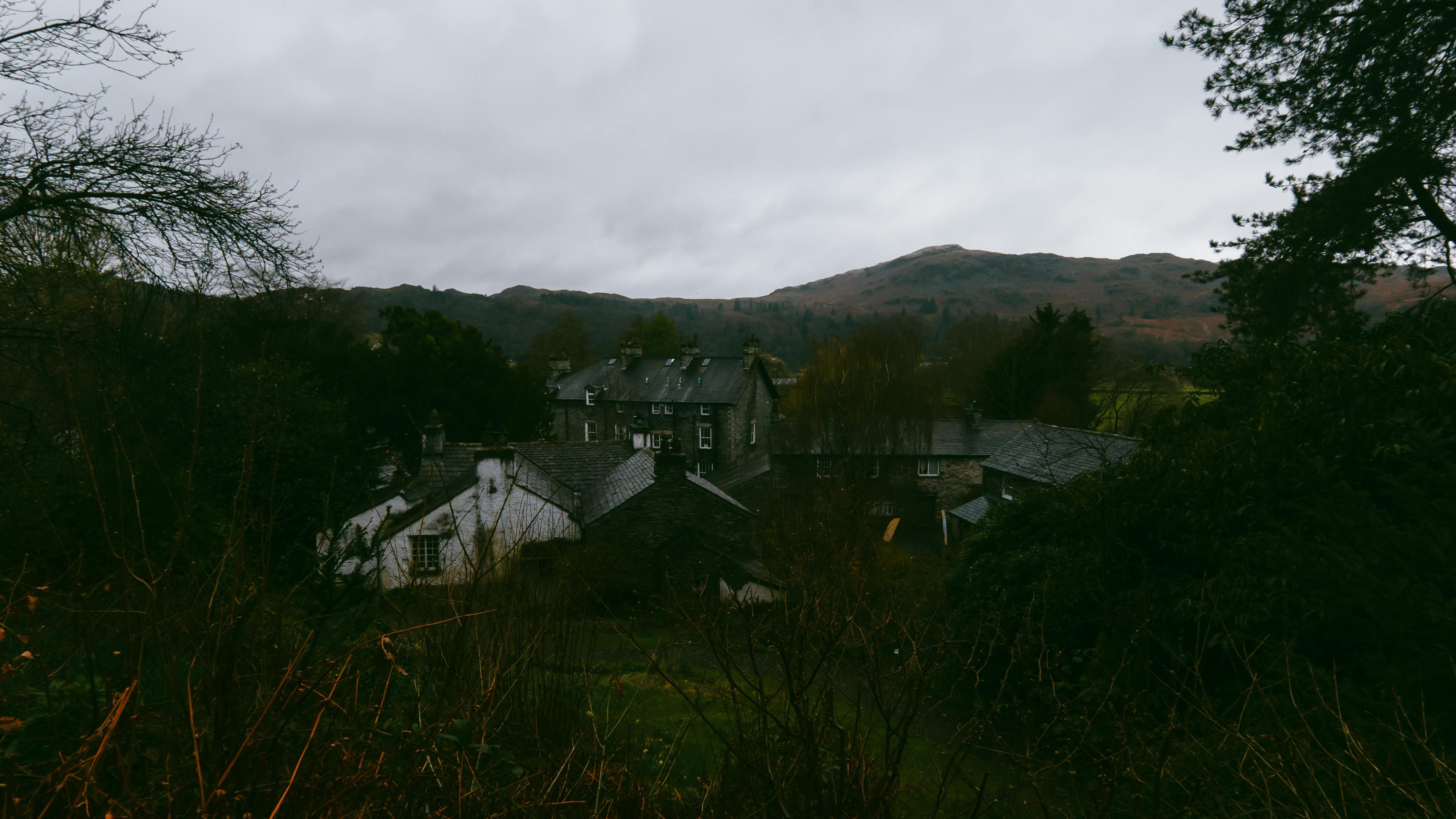 Fall Shrubs Photos, Download The BEST Free Fall Shrubs Stock Photos ...