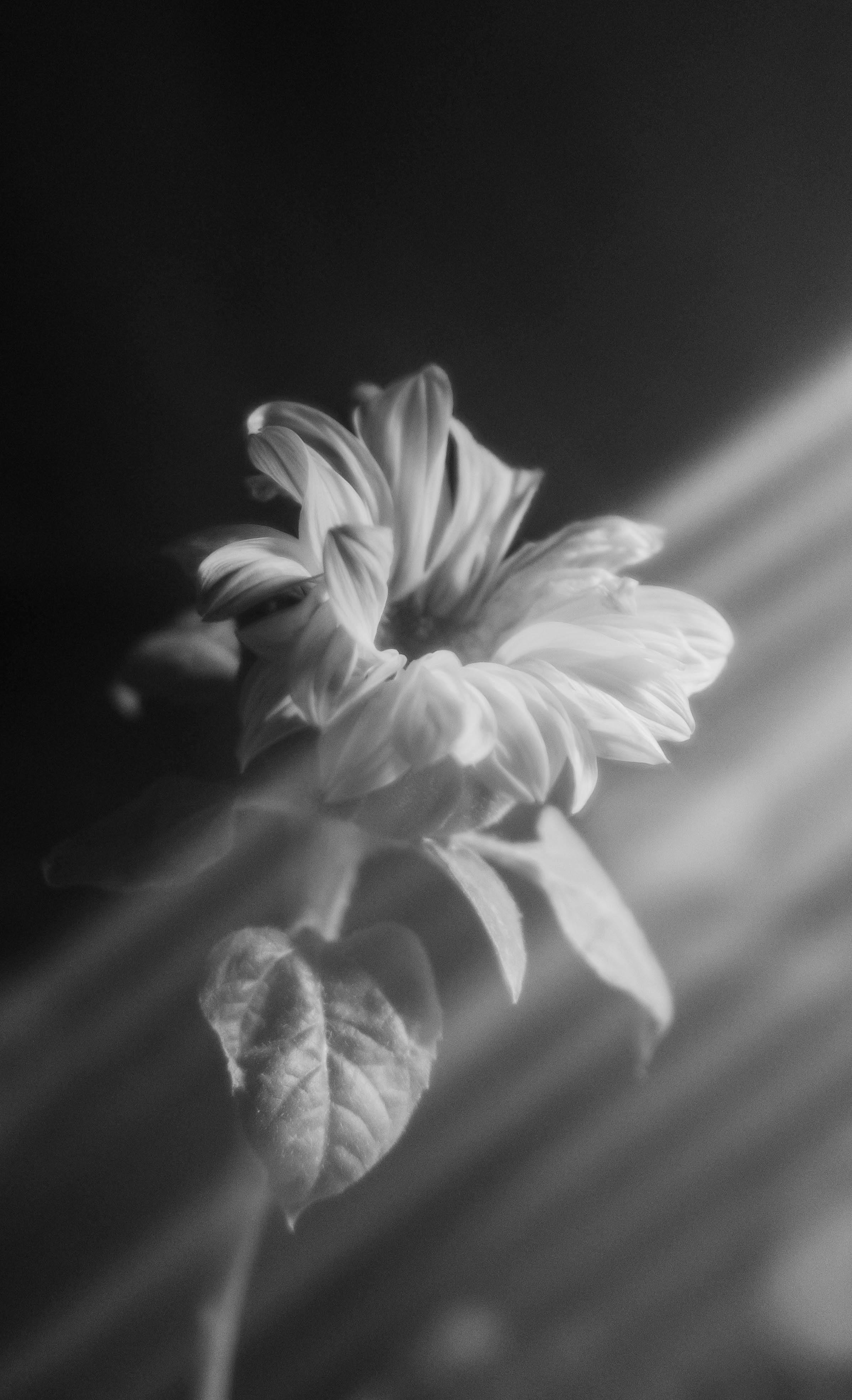 Hui Hui – Fotografie