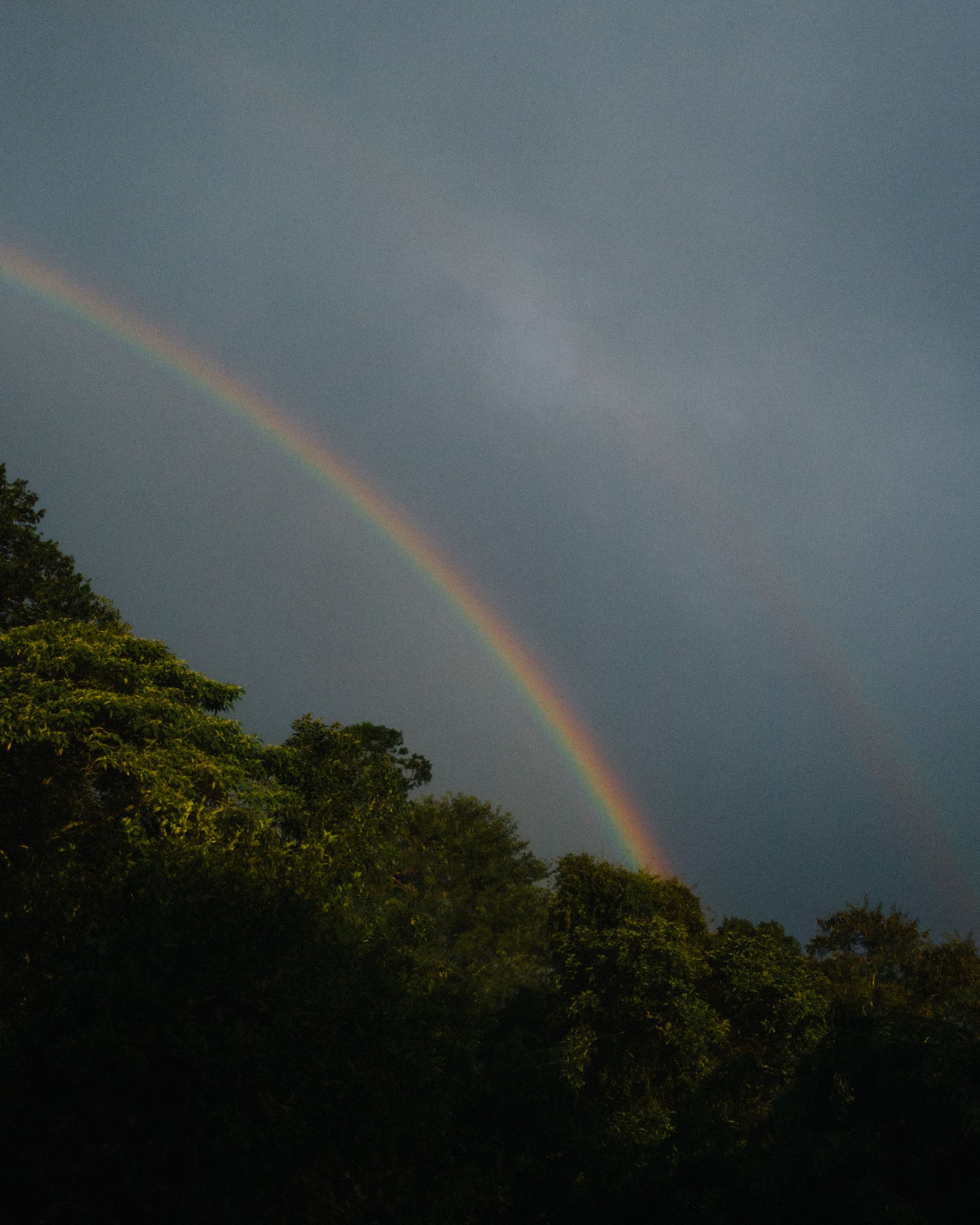 Rainy Rainbow Photos, Download The BEST Free Rainy Rainbow Stock Photos ...