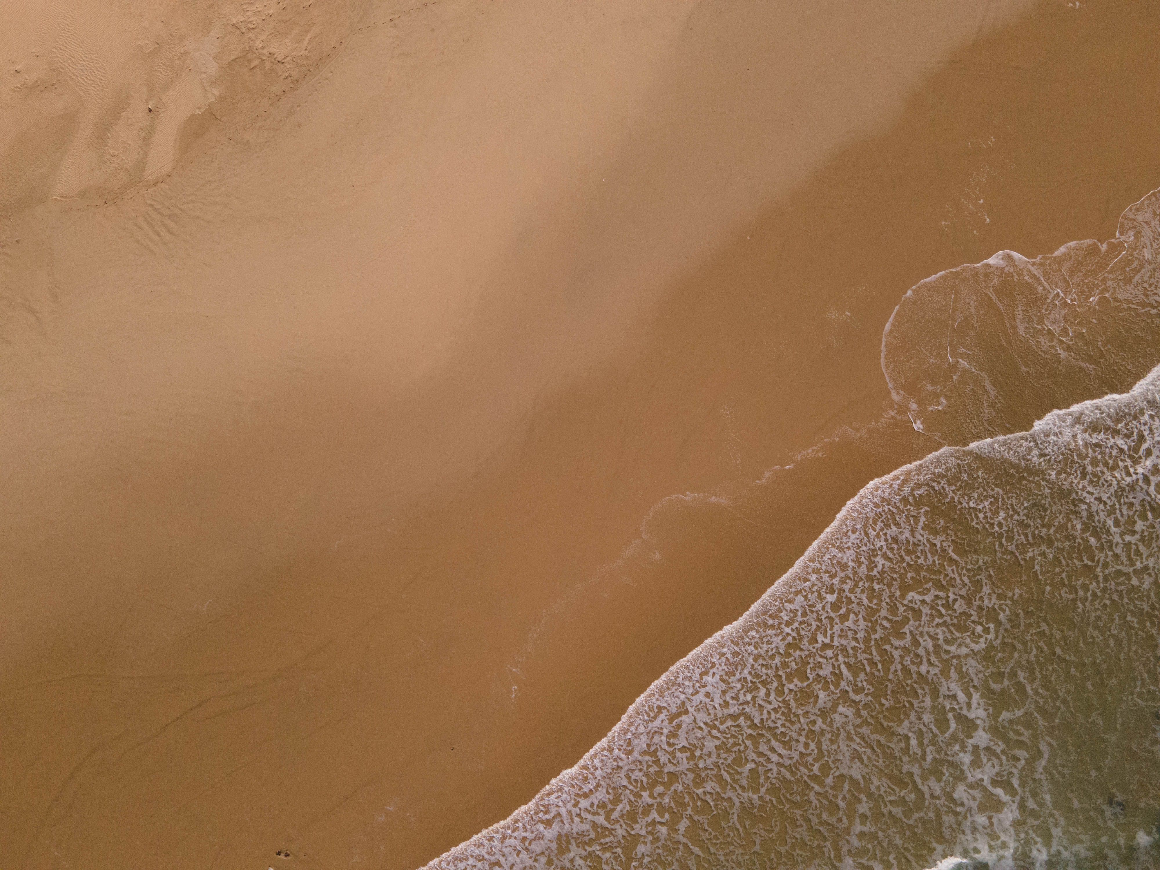 Shallow Water on Sea Shore · Free Stock Photo