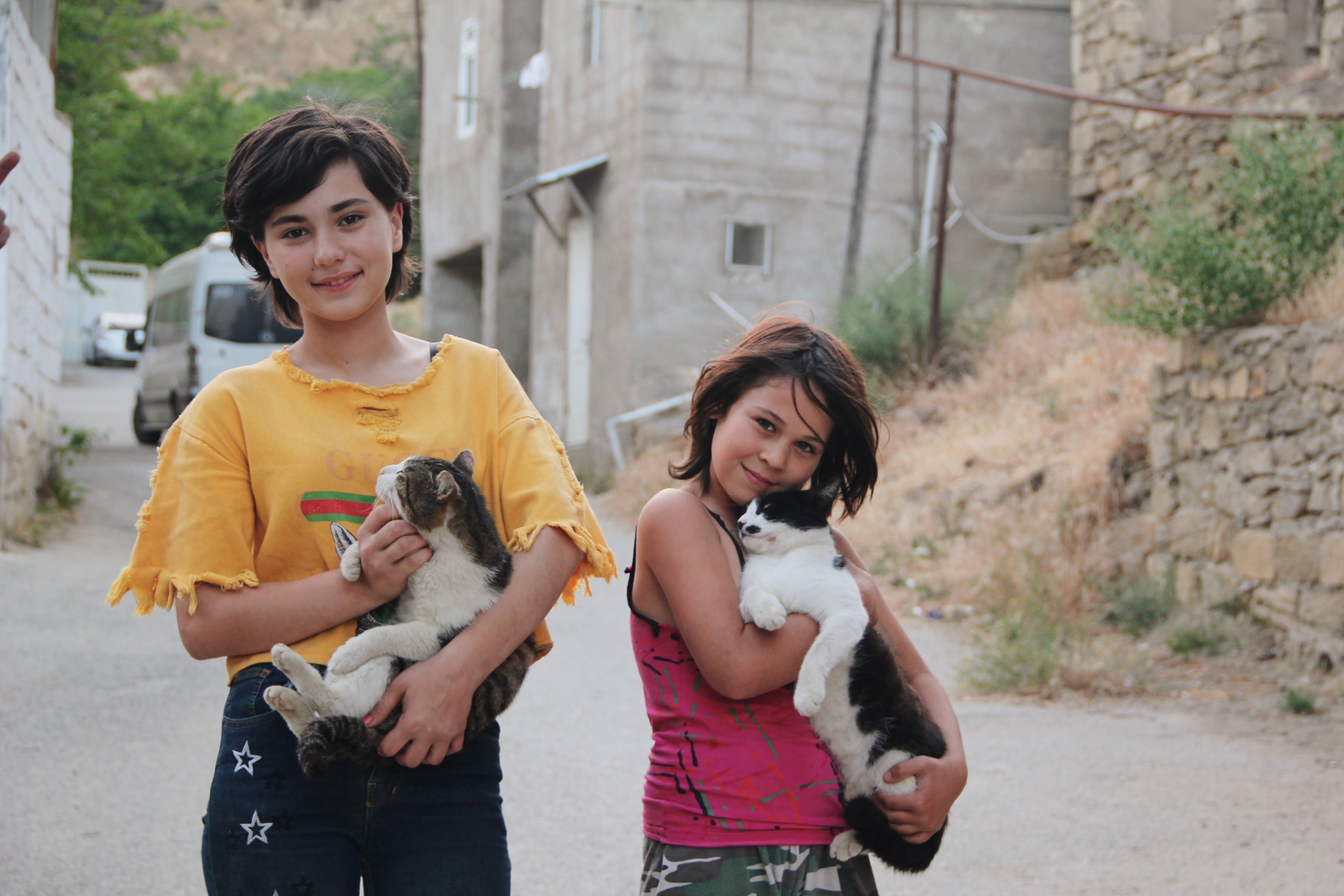 Two Girls Holding Pet Cats · Free Stock Photo