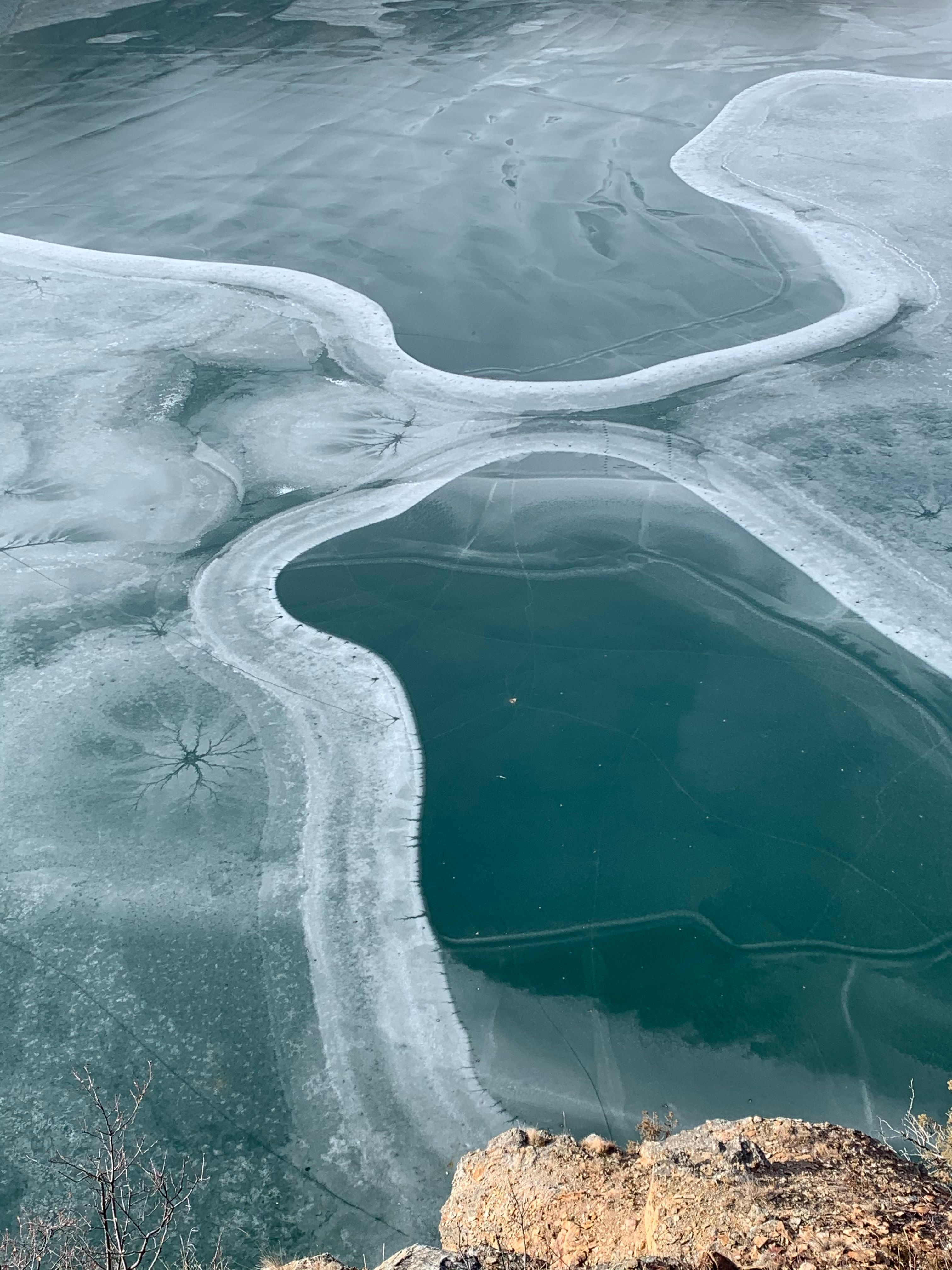 Emerging Thaw Photos, Download The BEST Free Emerging Thaw Stock Photos ...