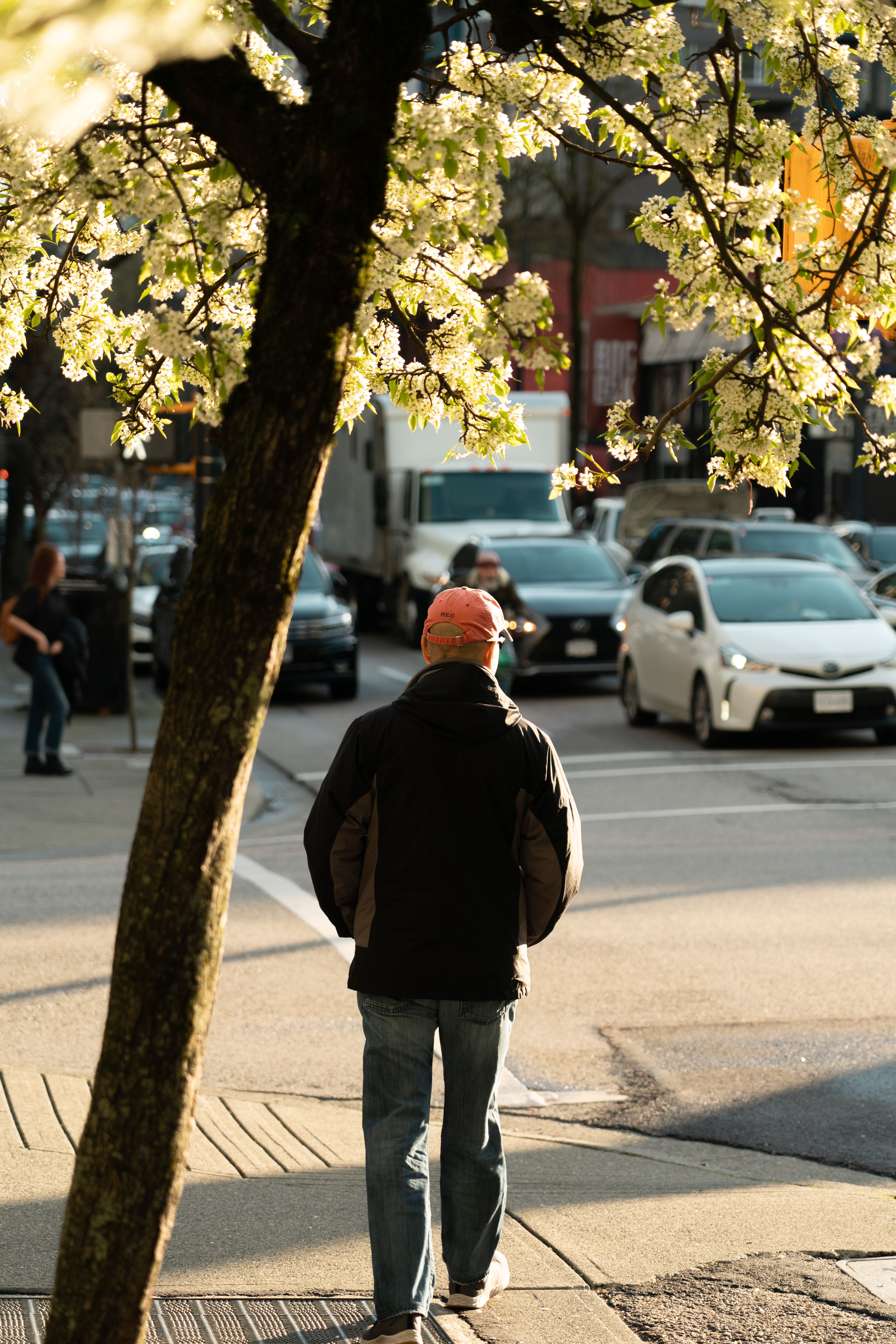 Back of a Male Pedestrian Walking along the Street · Free Stock Photo