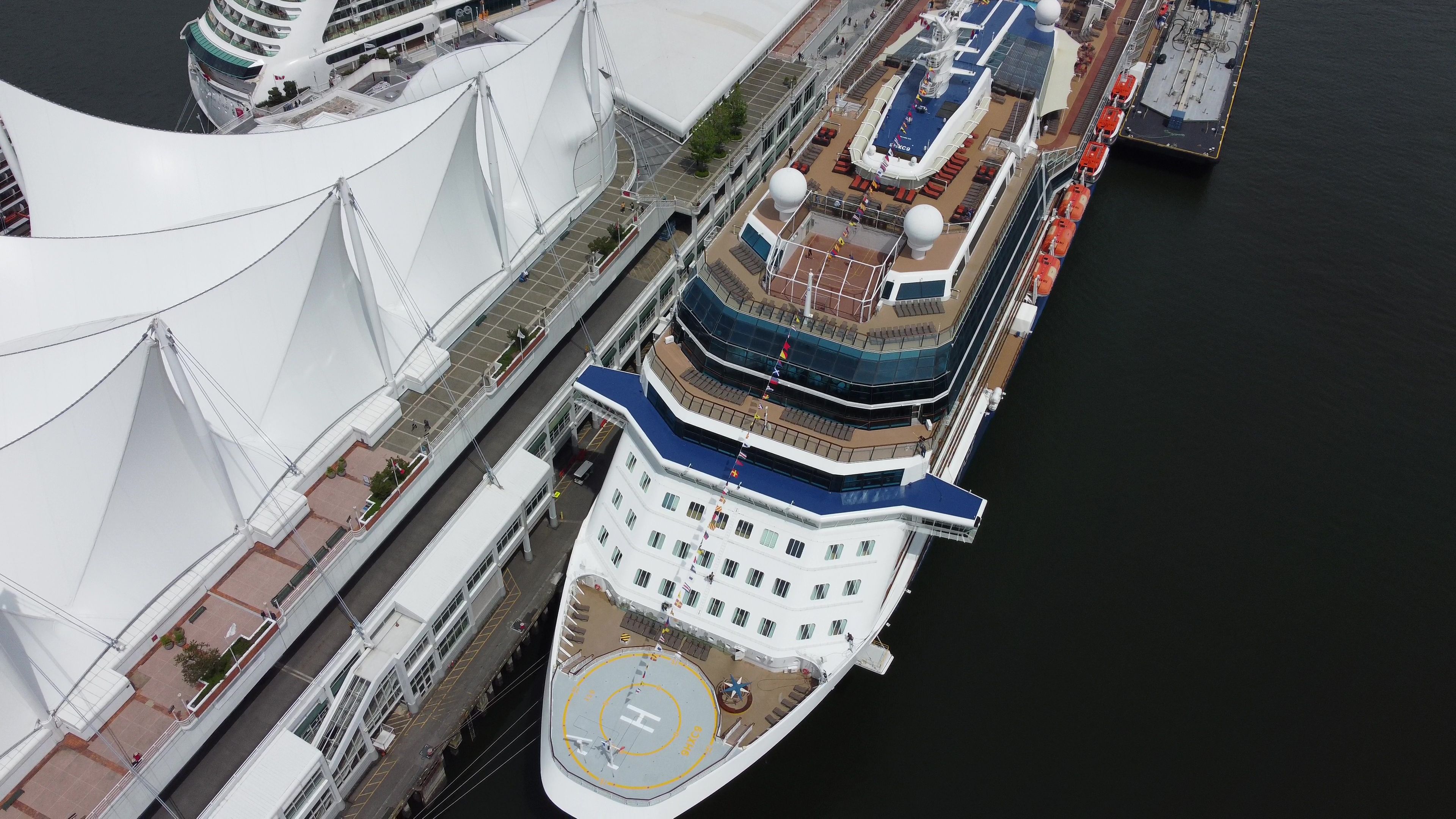 Trees and Moored Cruise Ship behind · Free Stock Photo
