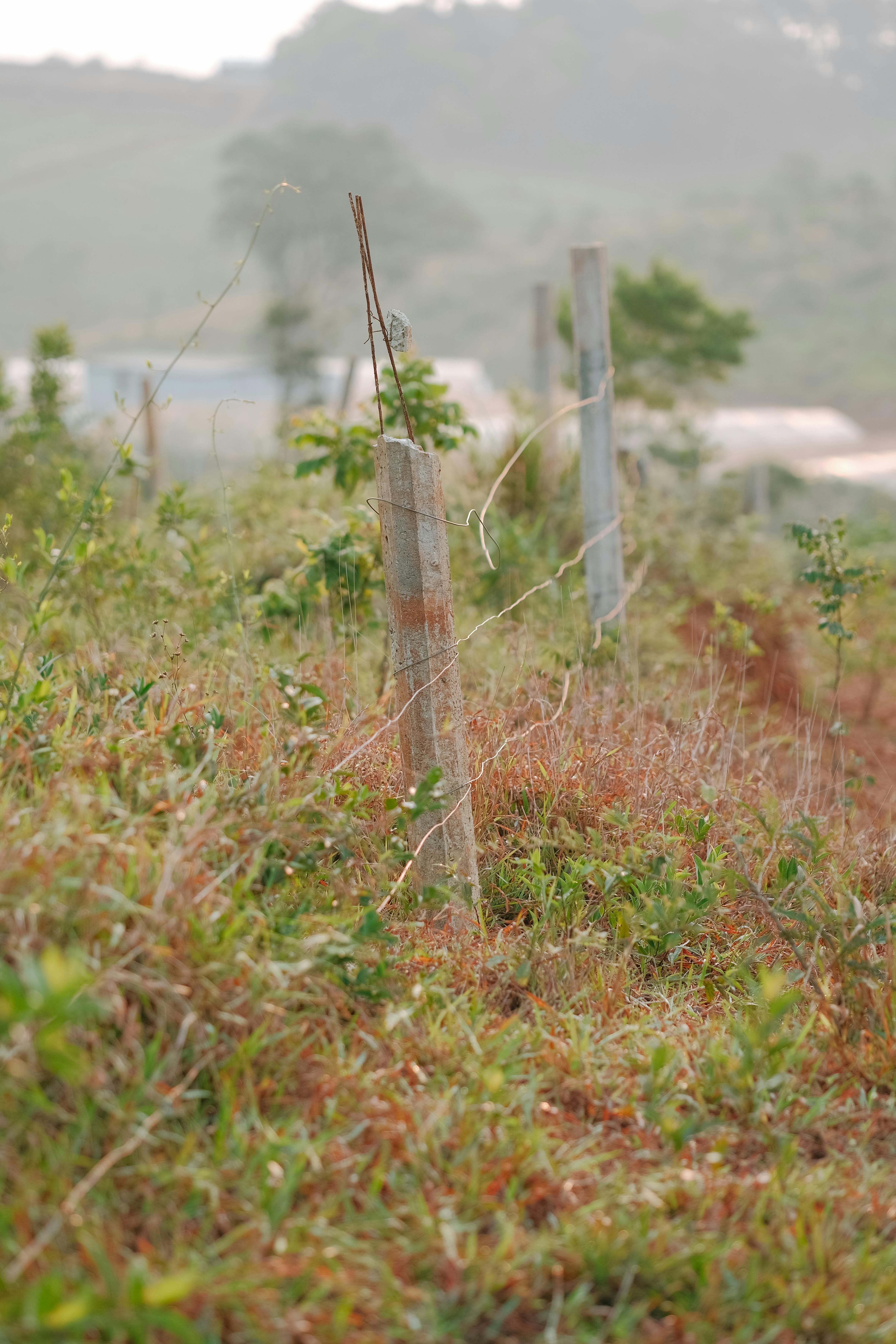 Posts Photos, Download The BEST Free Posts Stock Photos & HD Images