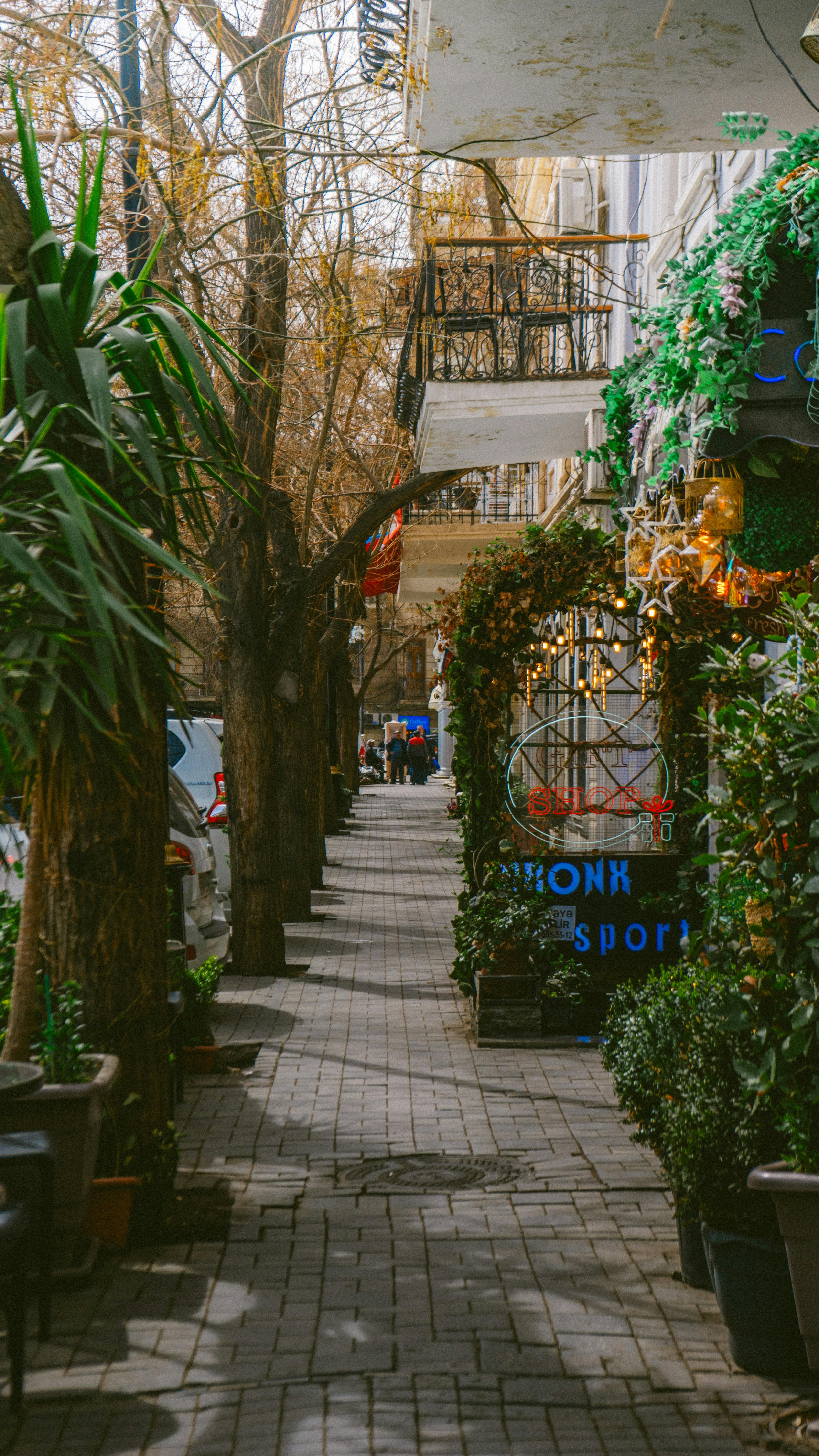 Outdoor Green Restaurant Photos, Download The BEST Free Outdoor Green ...