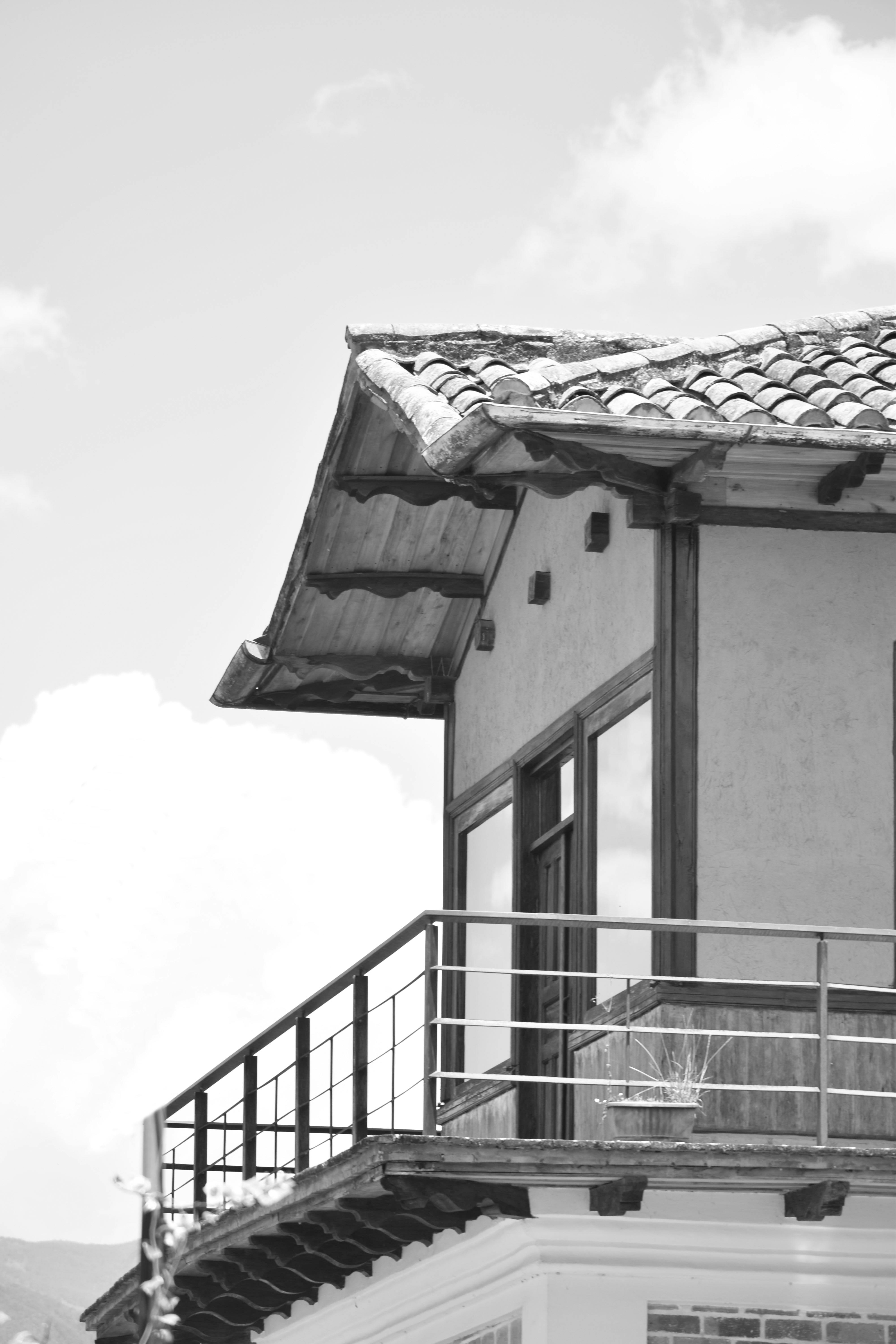 Daniela Estefanía González - Fotografía