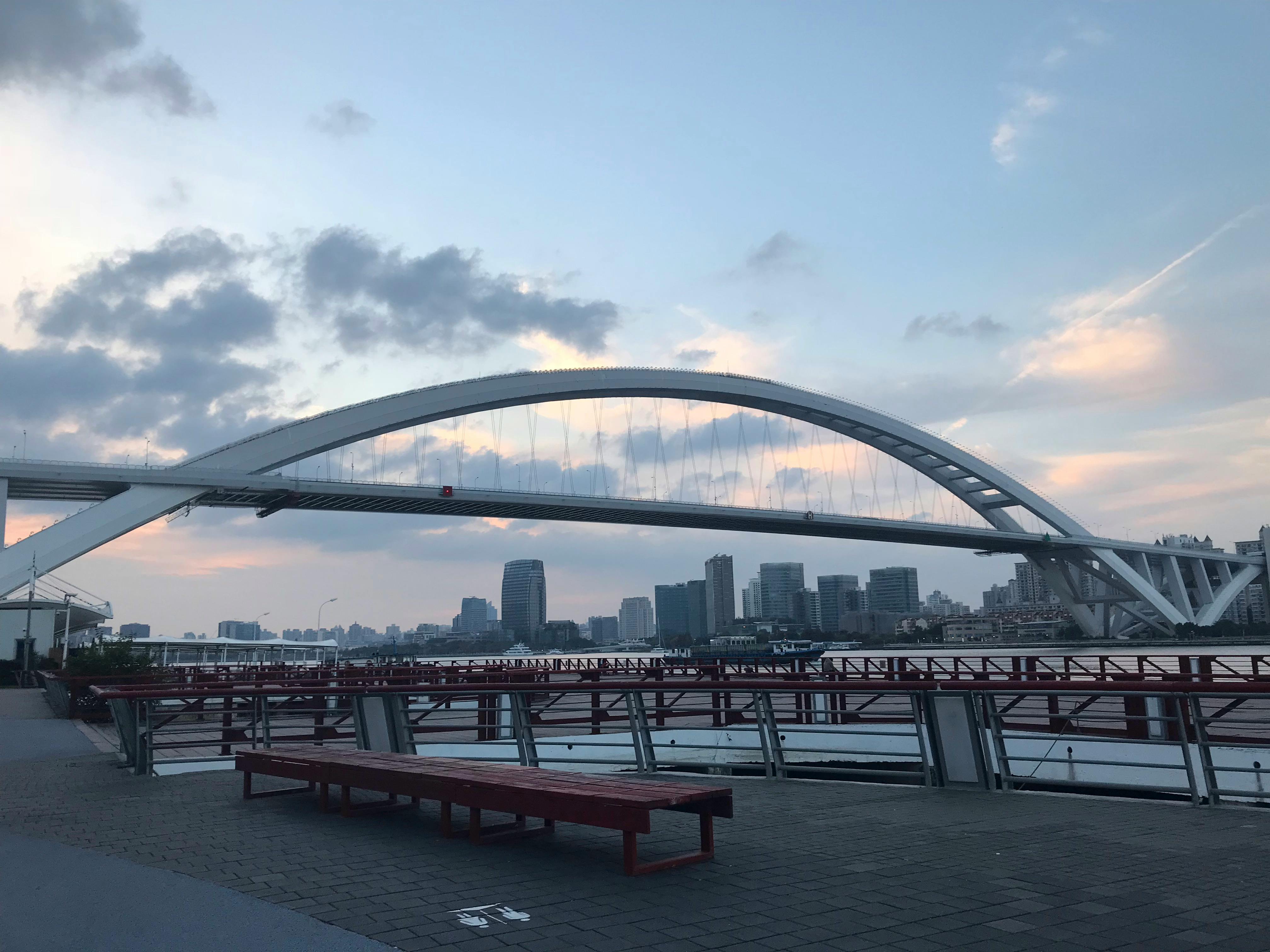 Free stock photo of lupu bridge, park, reiver