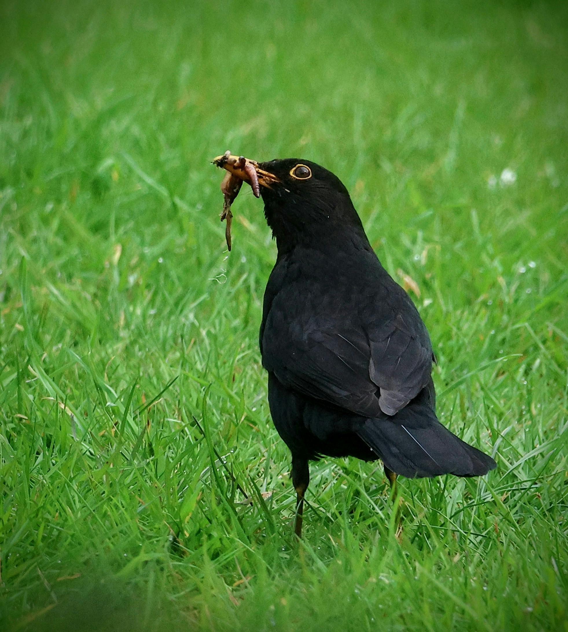 James Reeve - Photography