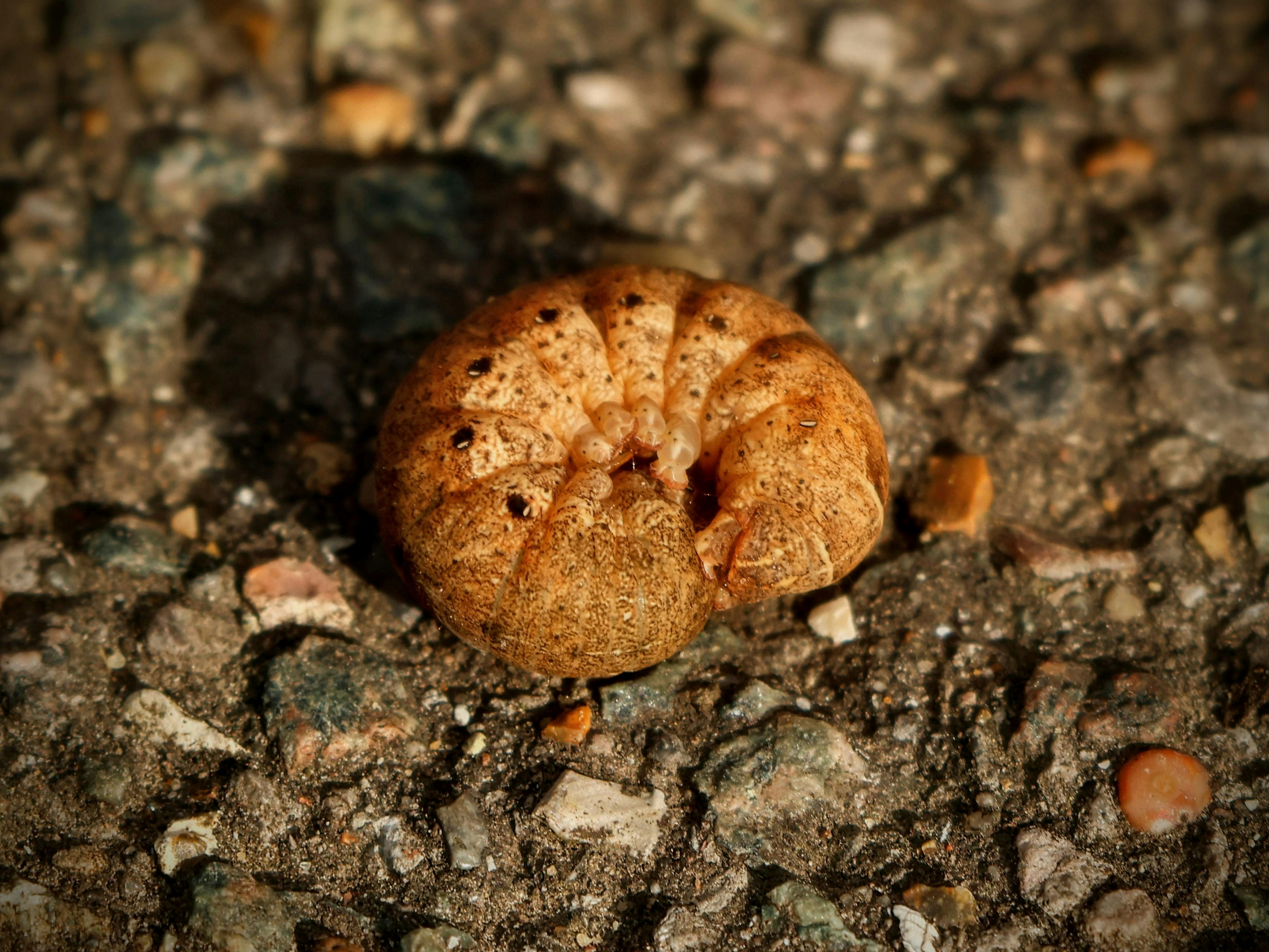 James Reeve - Photography