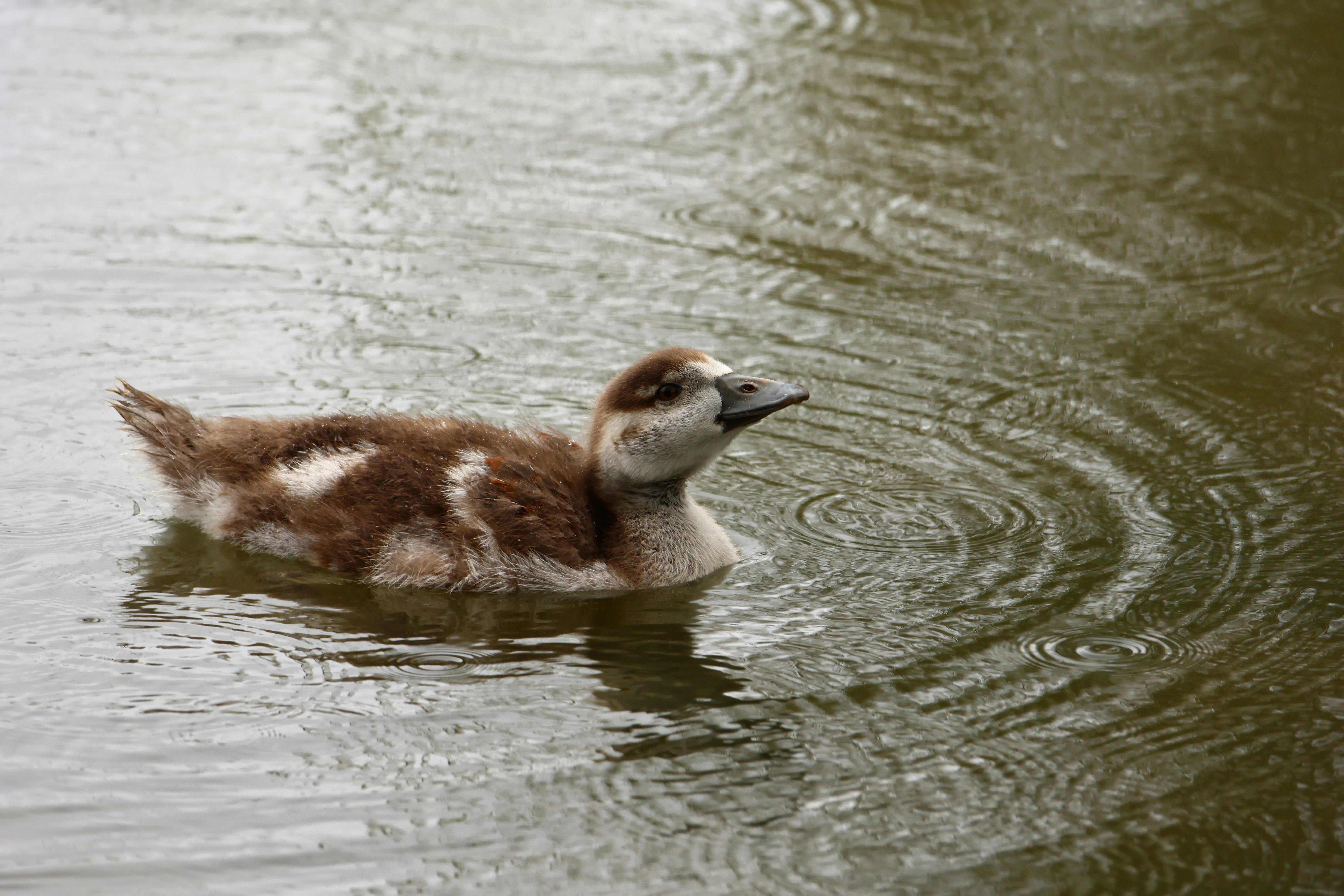 James Reeve - Photography