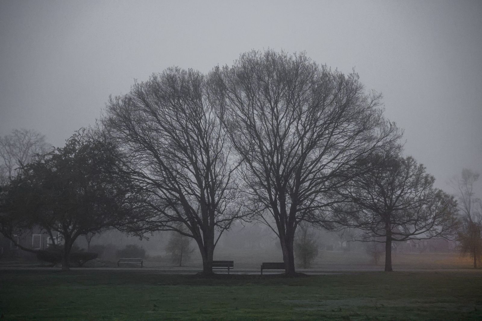 Rainy Fall Morning Photos, Download The BEST Free Rainy Fall Morning ...