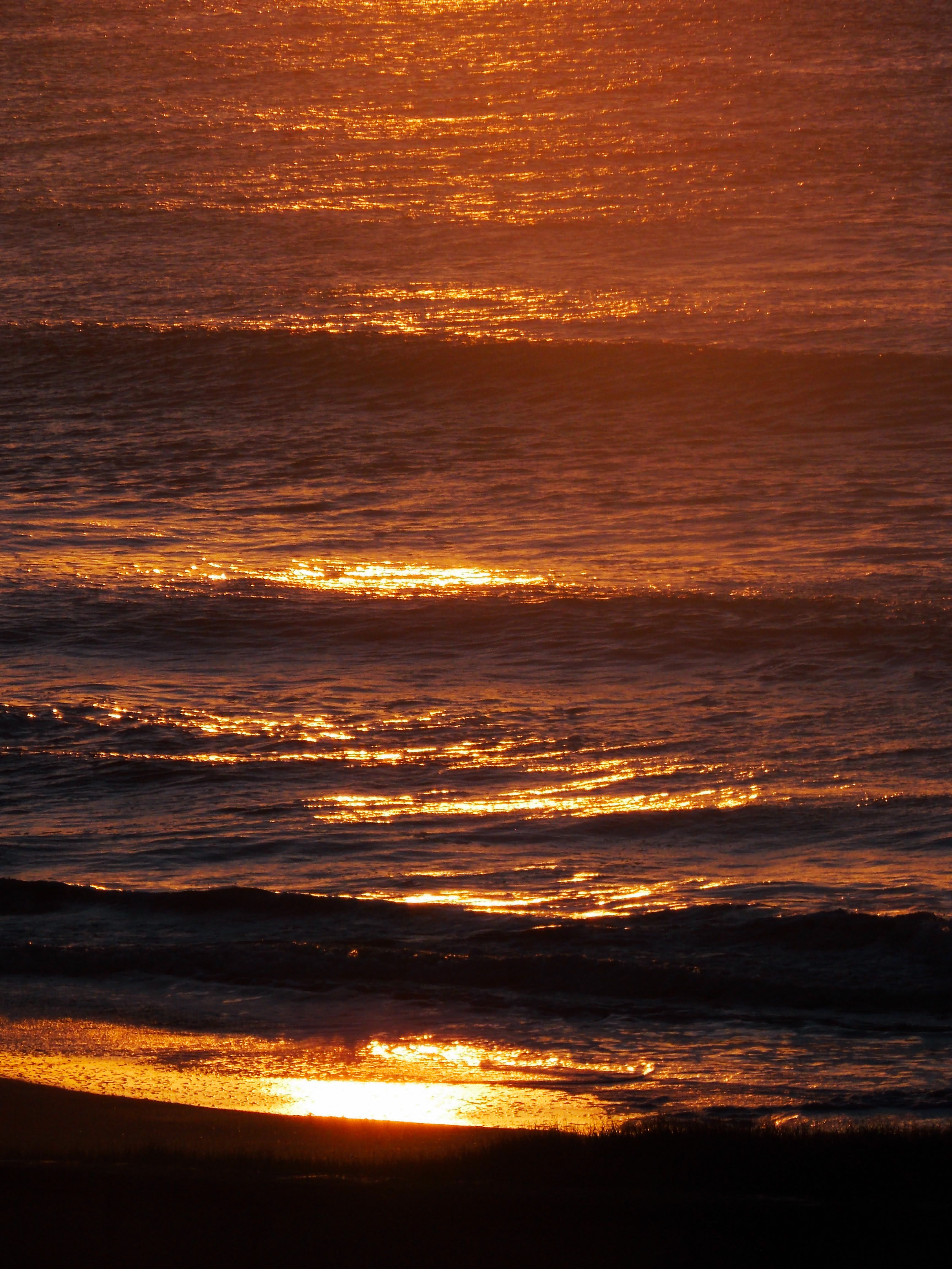 Shiny Water on Shore · Free Stock Photo