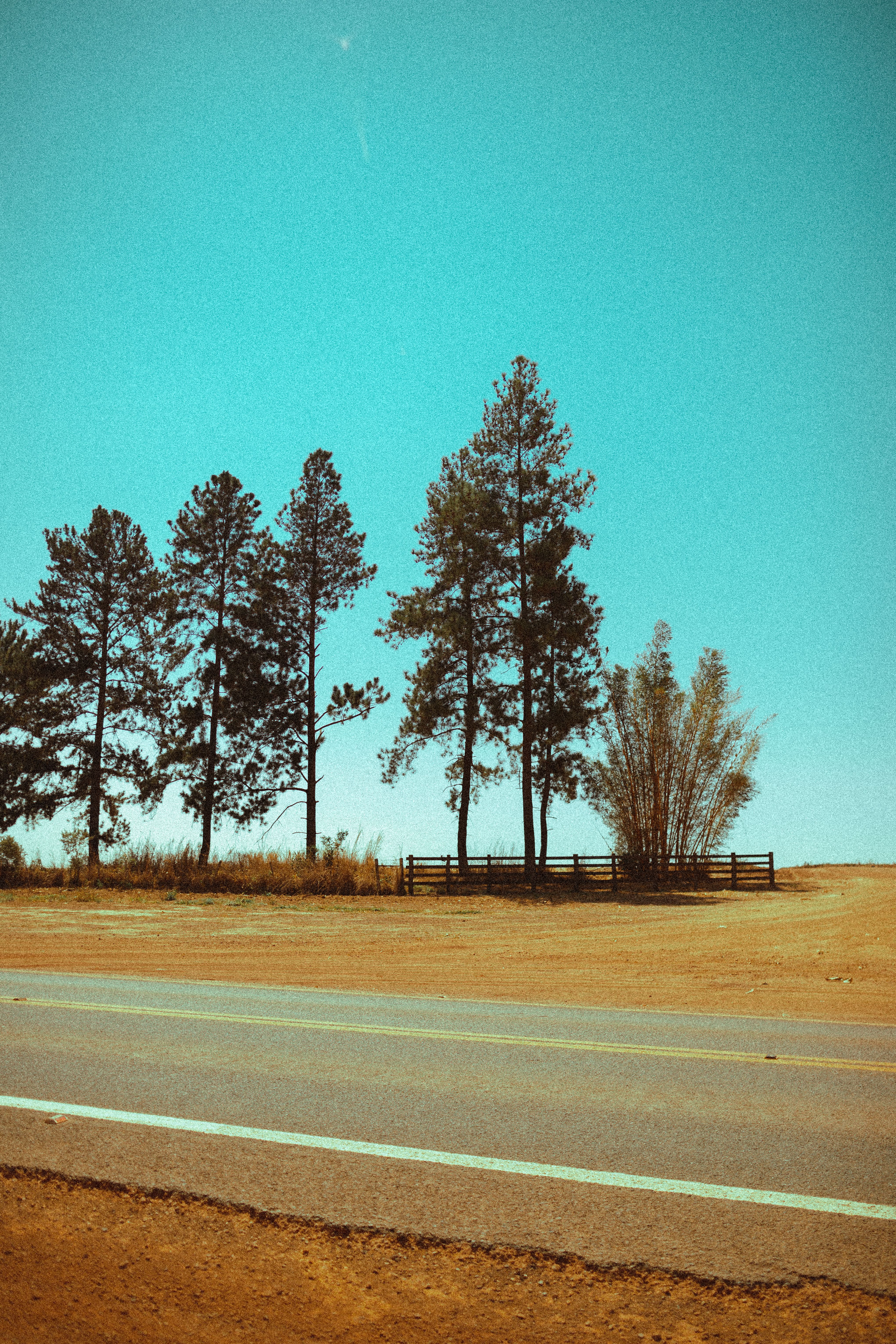 Clear Sky over Sunlit Road on Plains · Free Stock Photo