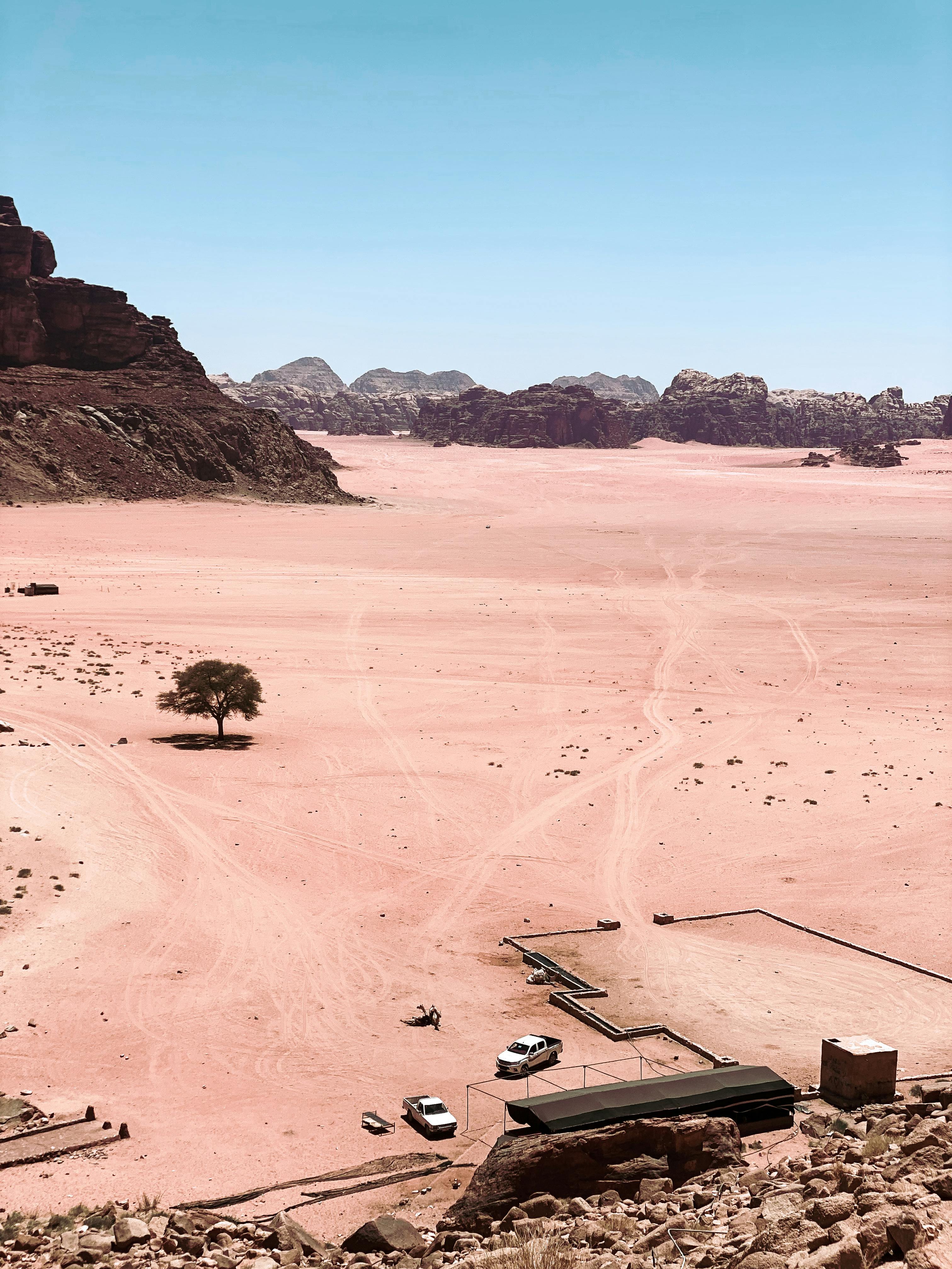 Clearly Identifiable Photos, Download The BEST Free Clearly ...