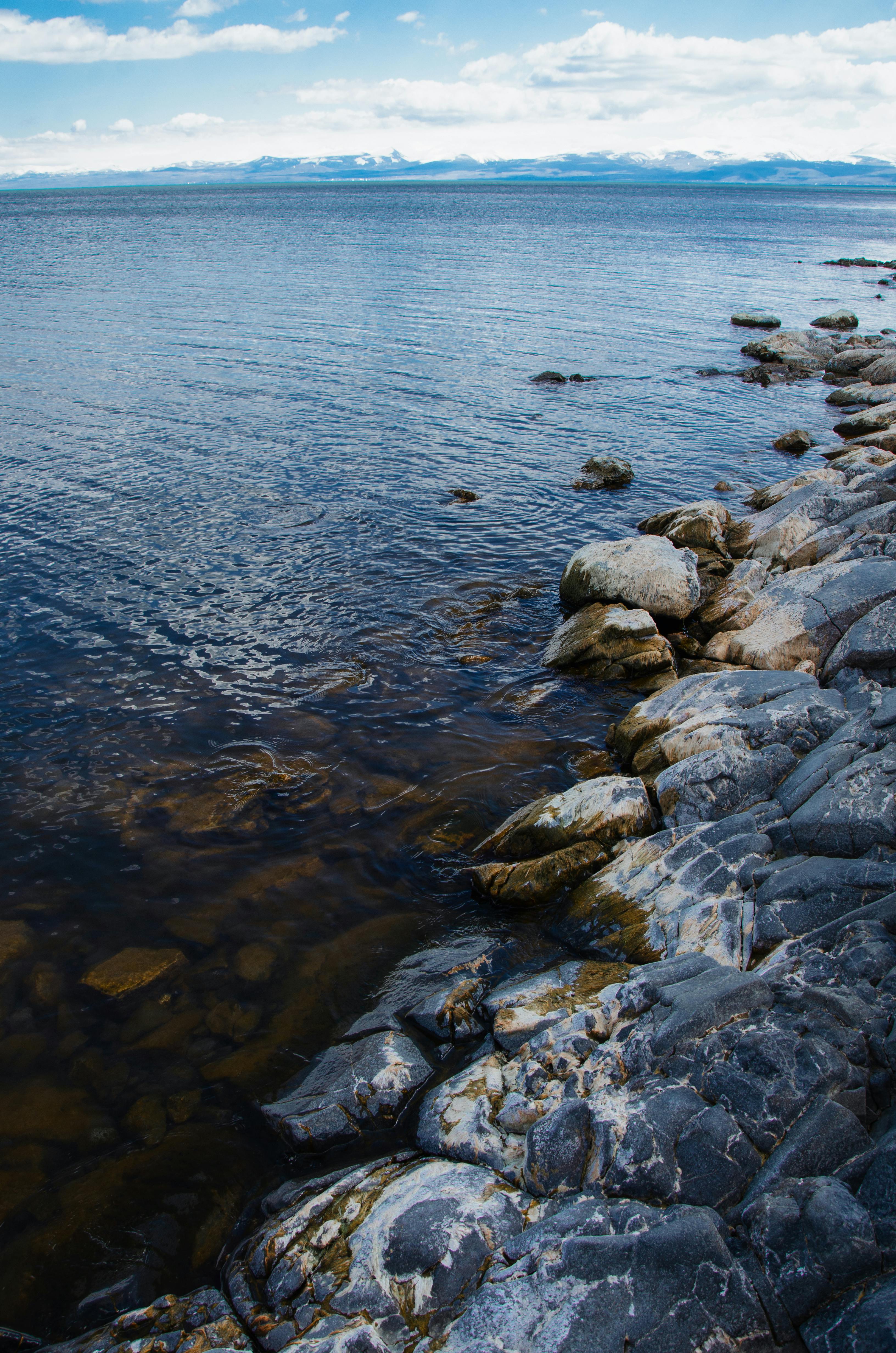Stones on Shore · Free Stock Photo