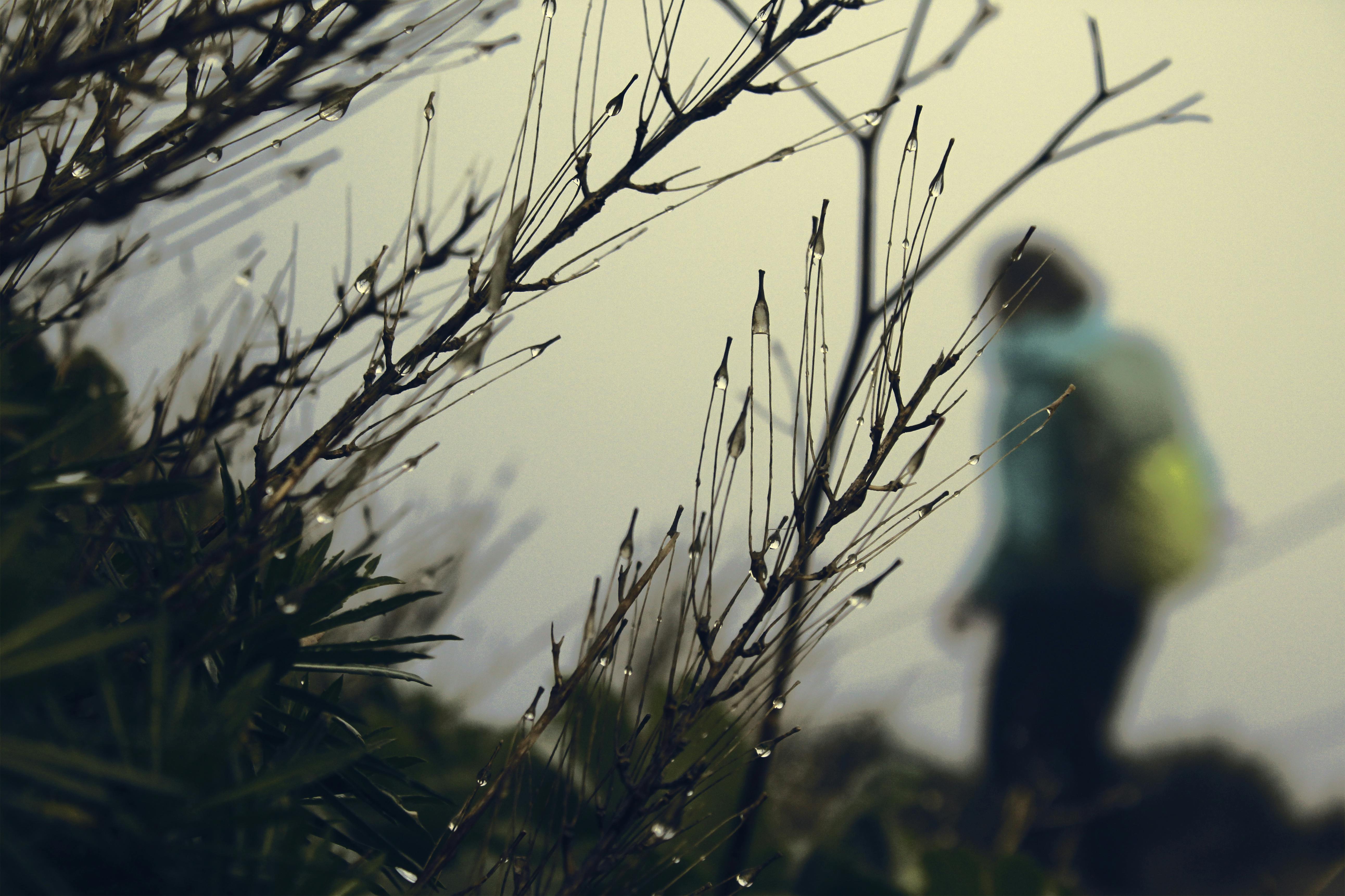 Samuel Moreno - Photography