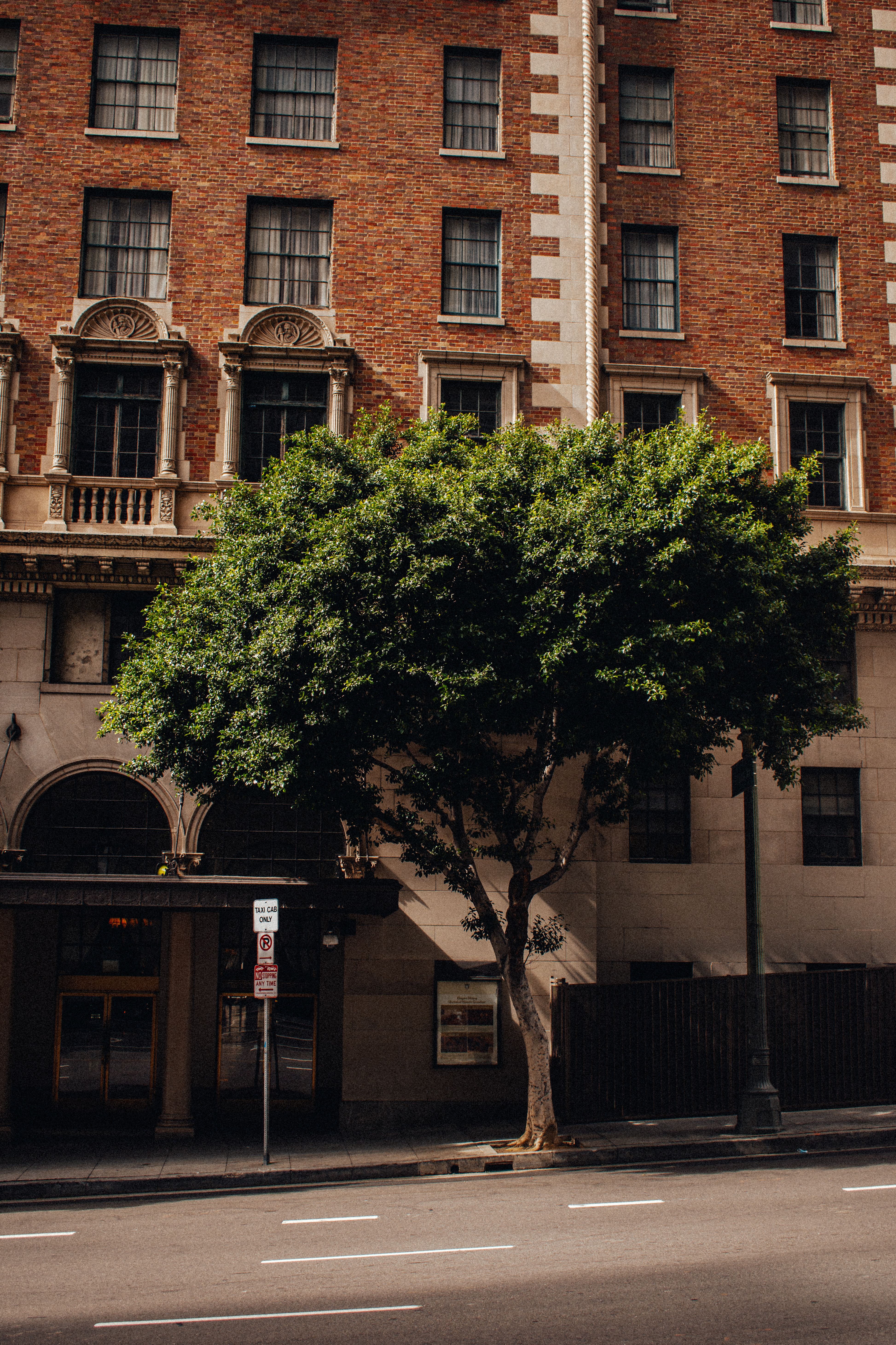 A Tree in front of a Traditional Building in City · Free Stock Photo