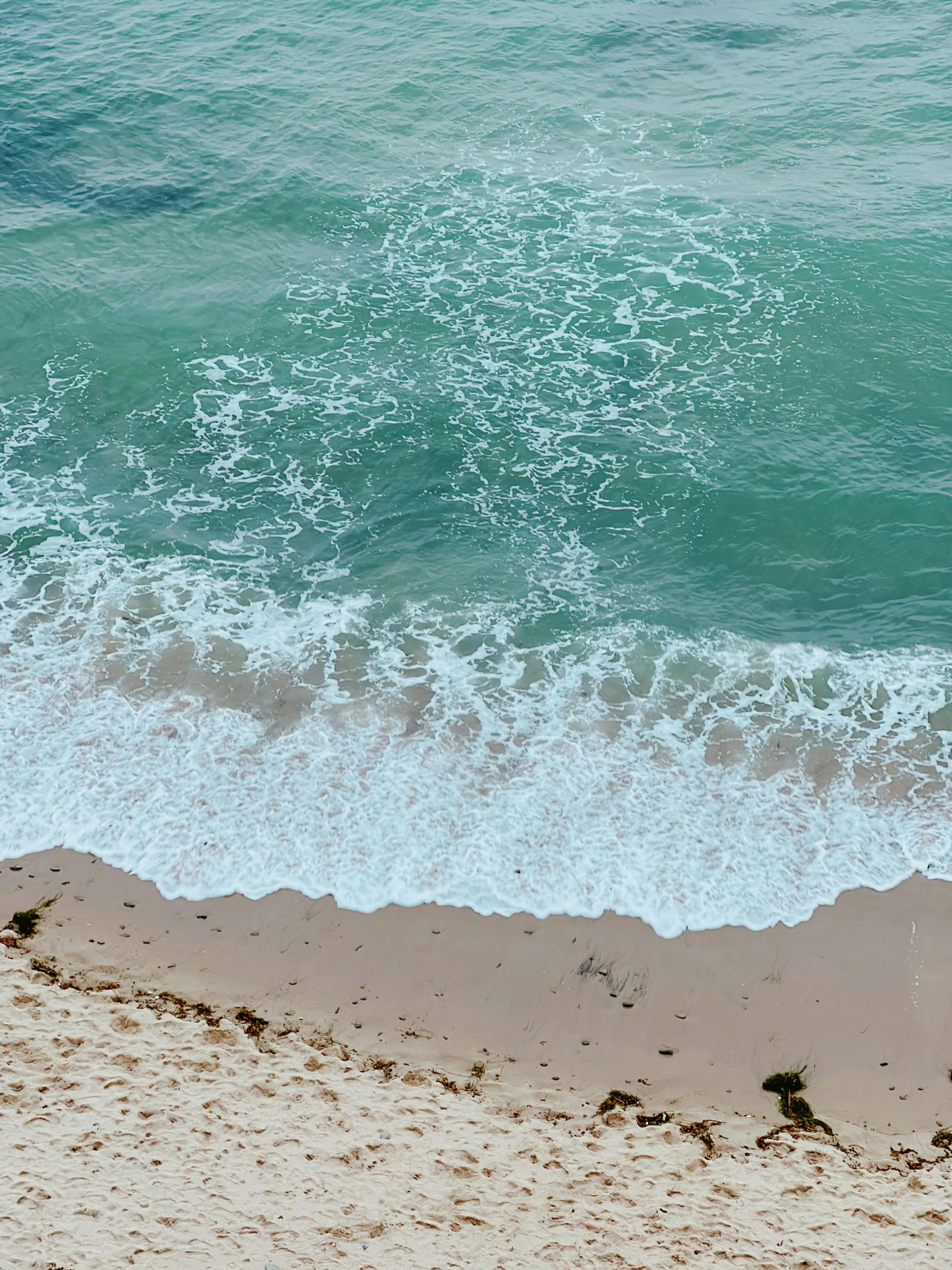 Ocean Washing the Beach · Free Stock Photo
