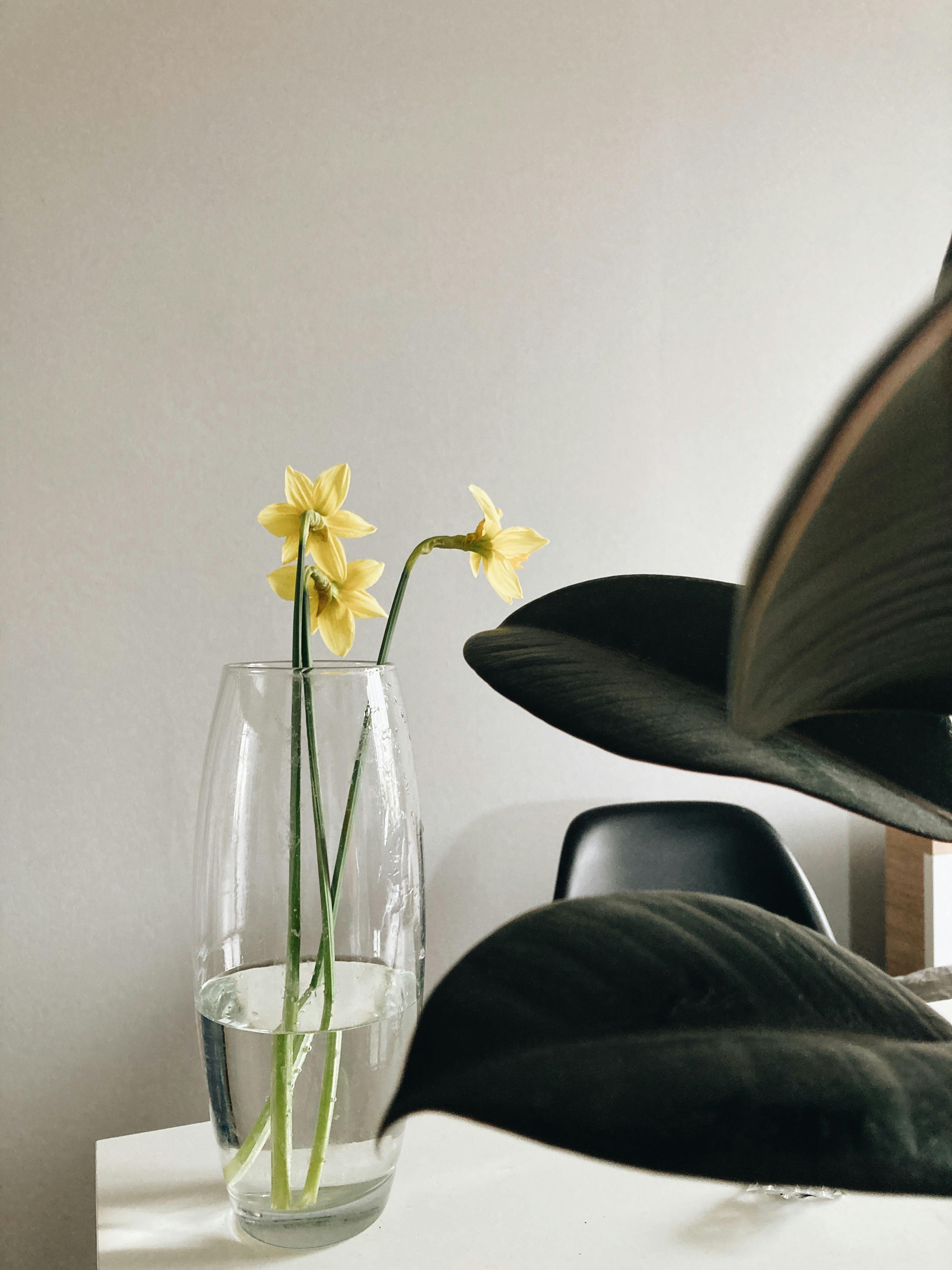 7.901+ Fotos y Imágenes de 1920x1080 simple Gratis · Banco de Fotos Gratis