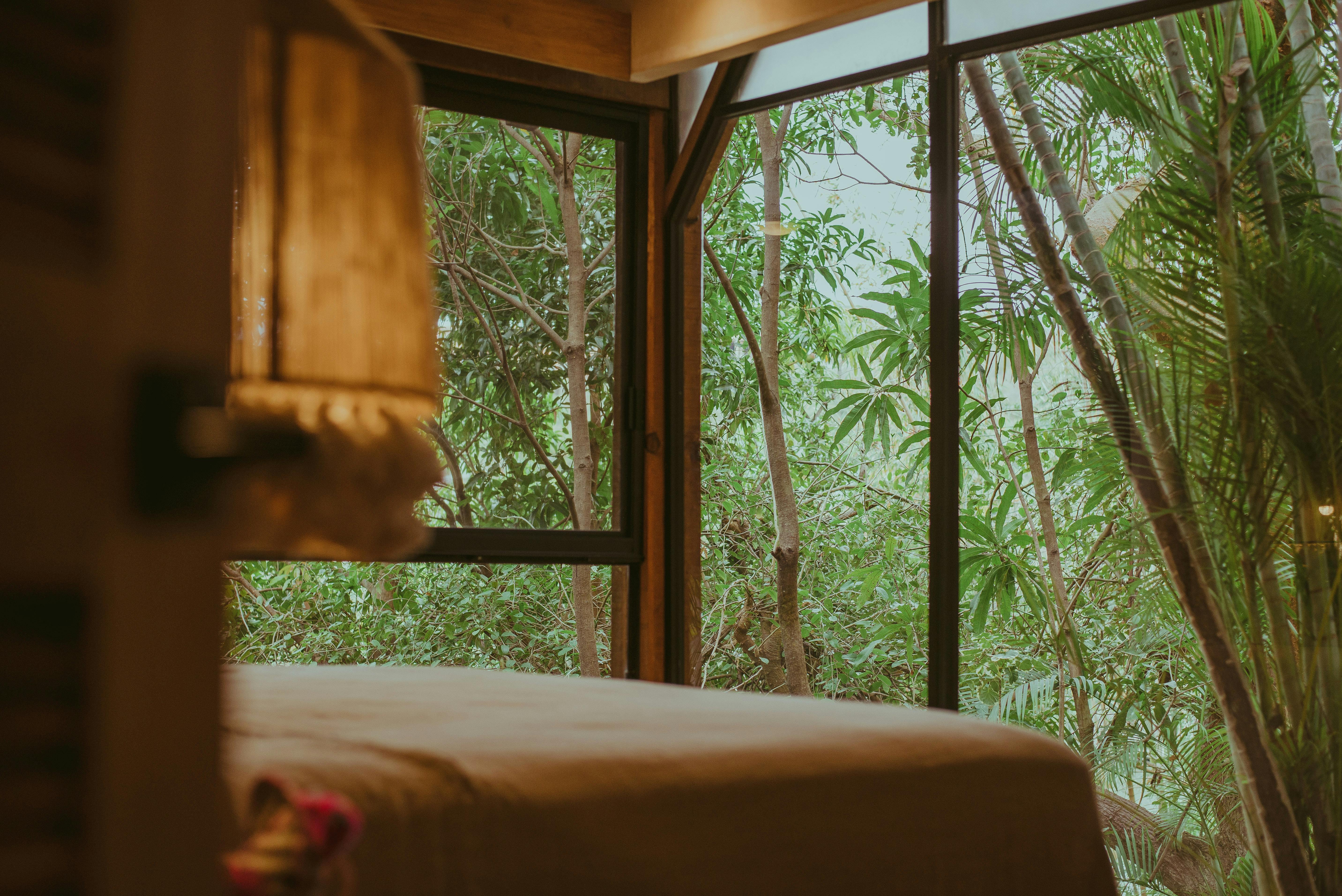 Room with the View of Palm Trees in a Tropical Resort · Free Stock Photo