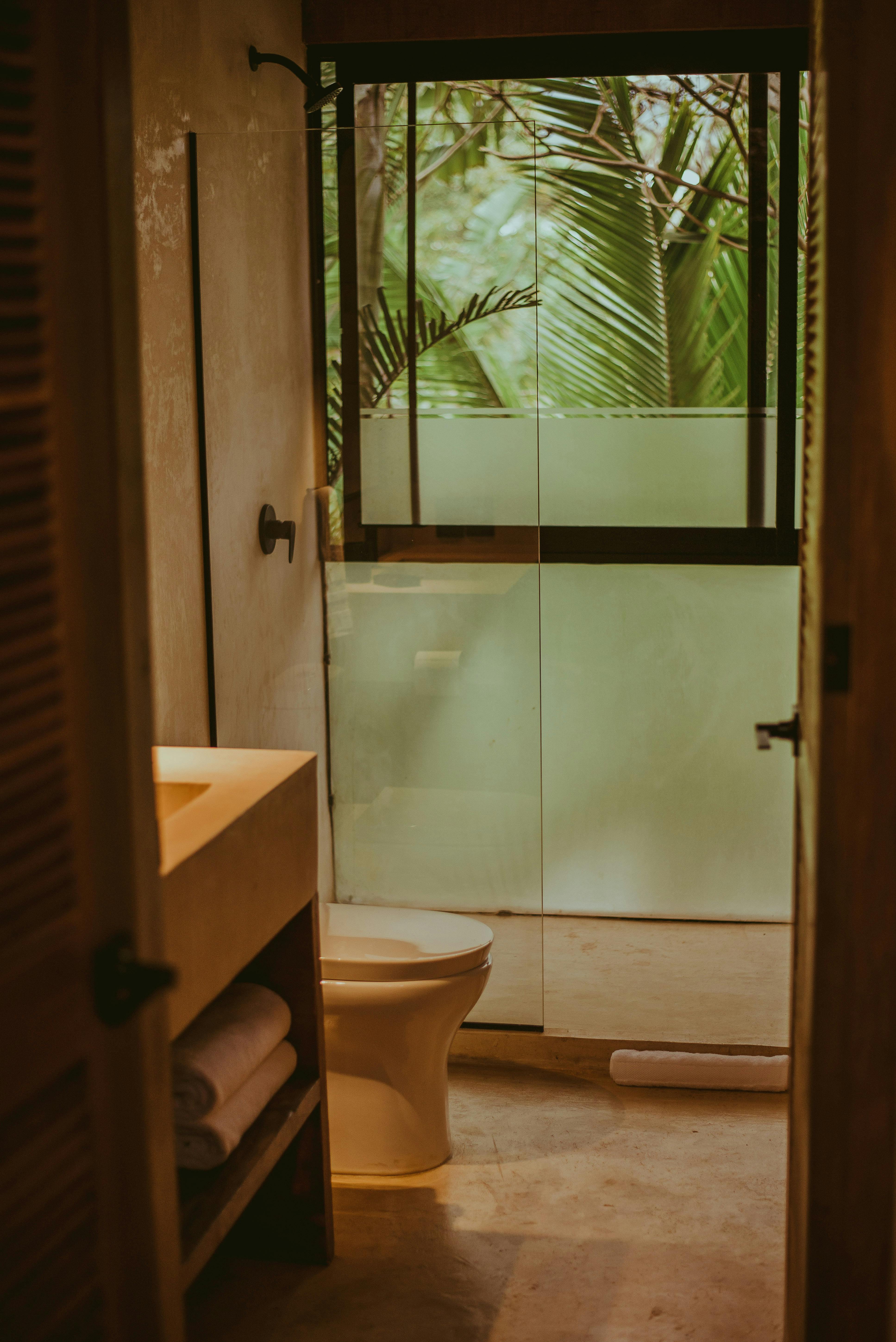 Hotel Room with the View of Tropical Vegetation Out the Window · Free ...