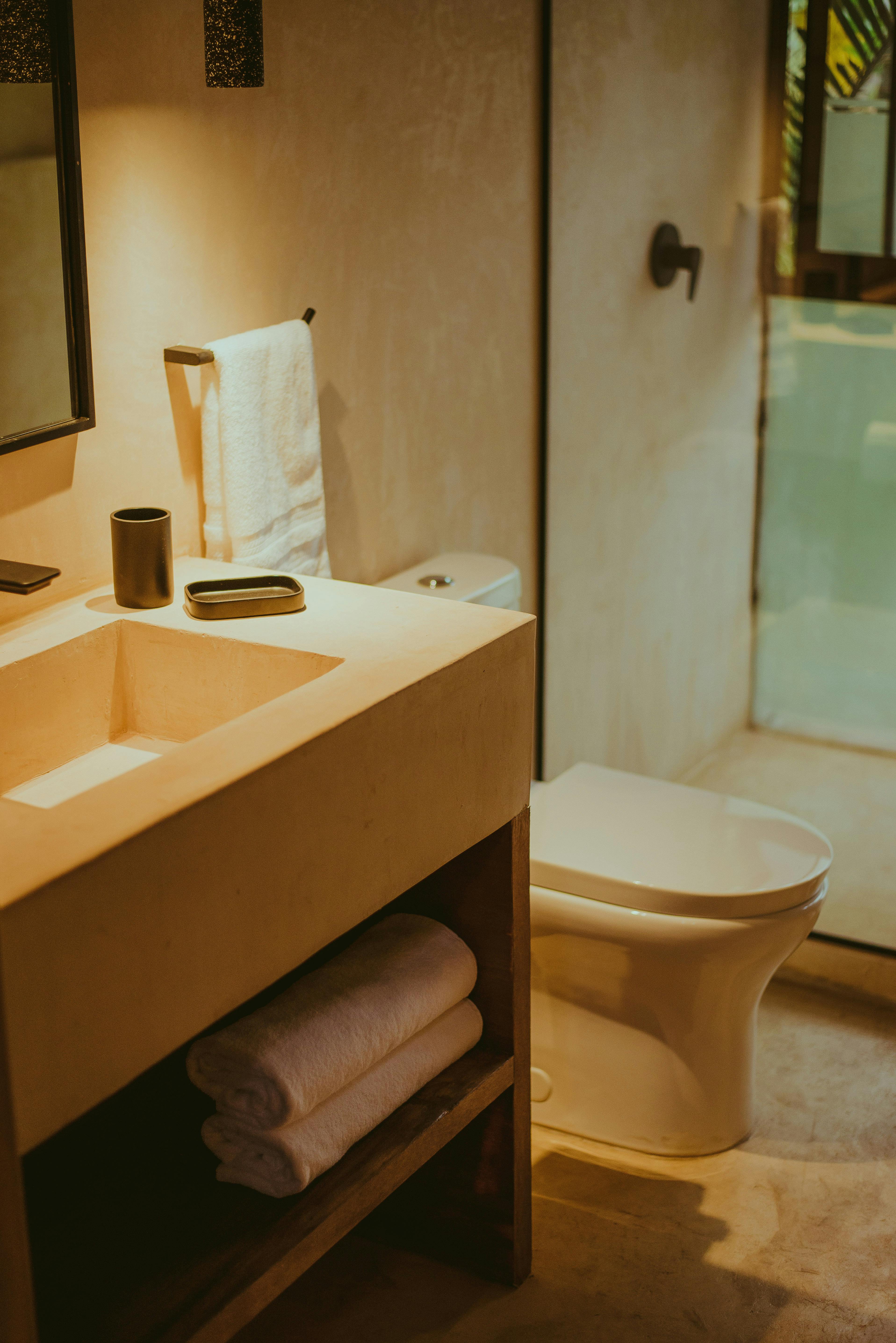 Toilet Bowl in Rustic Design Bathroom · Free Stock Photo