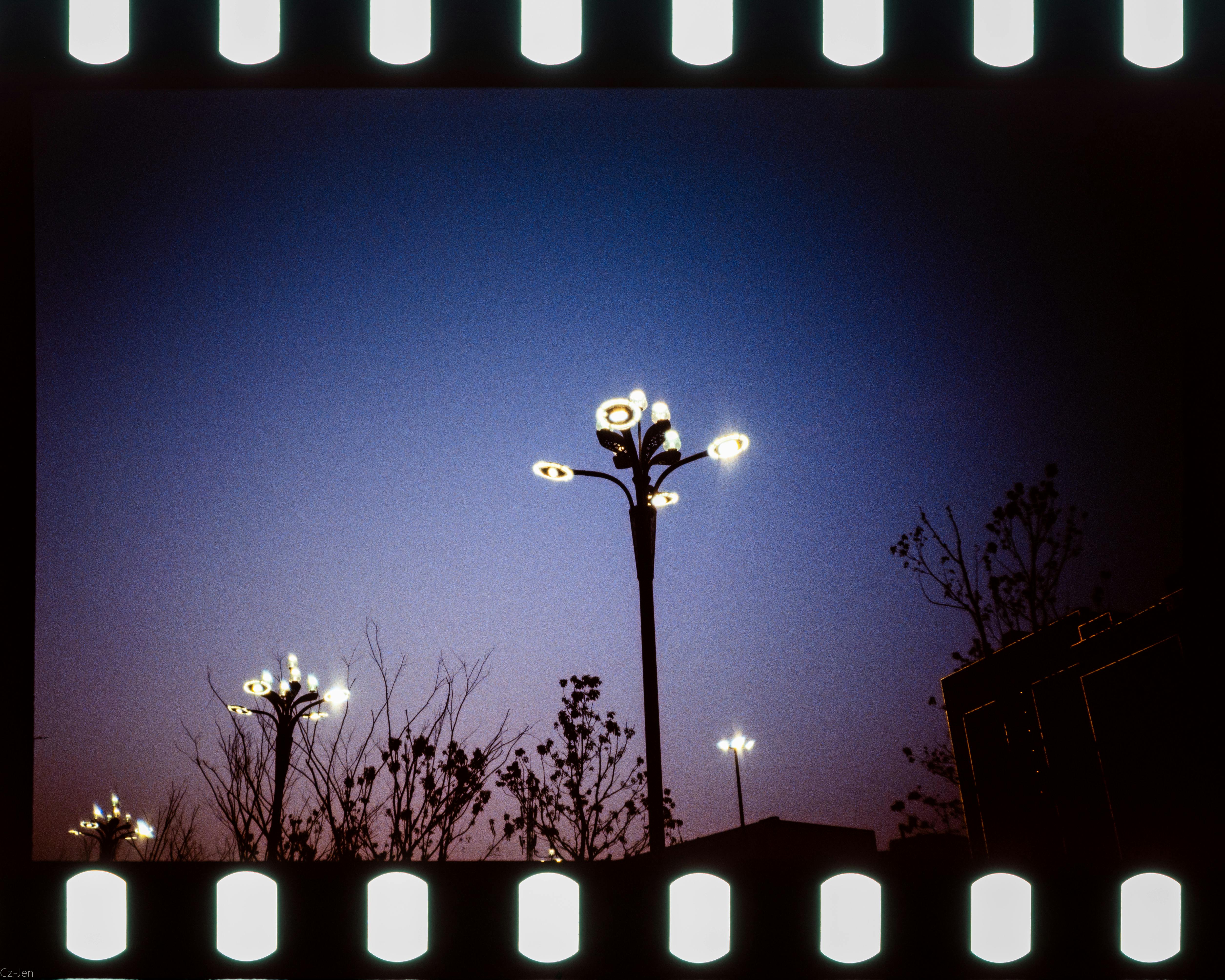 film negative · Free Stock Photo