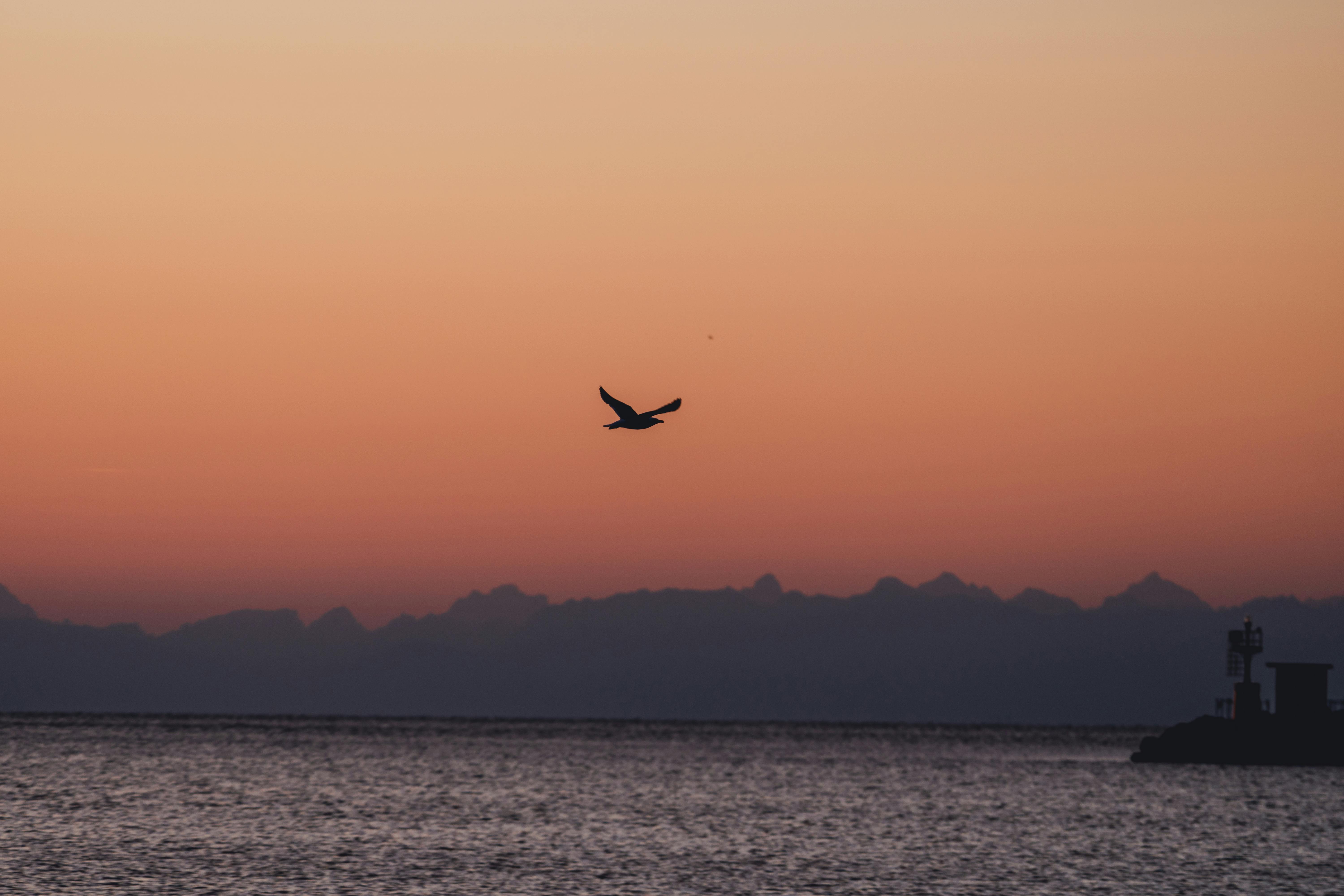 Copy Space Photos, Download The BEST Free Copy Space Stock Photos & HD ...