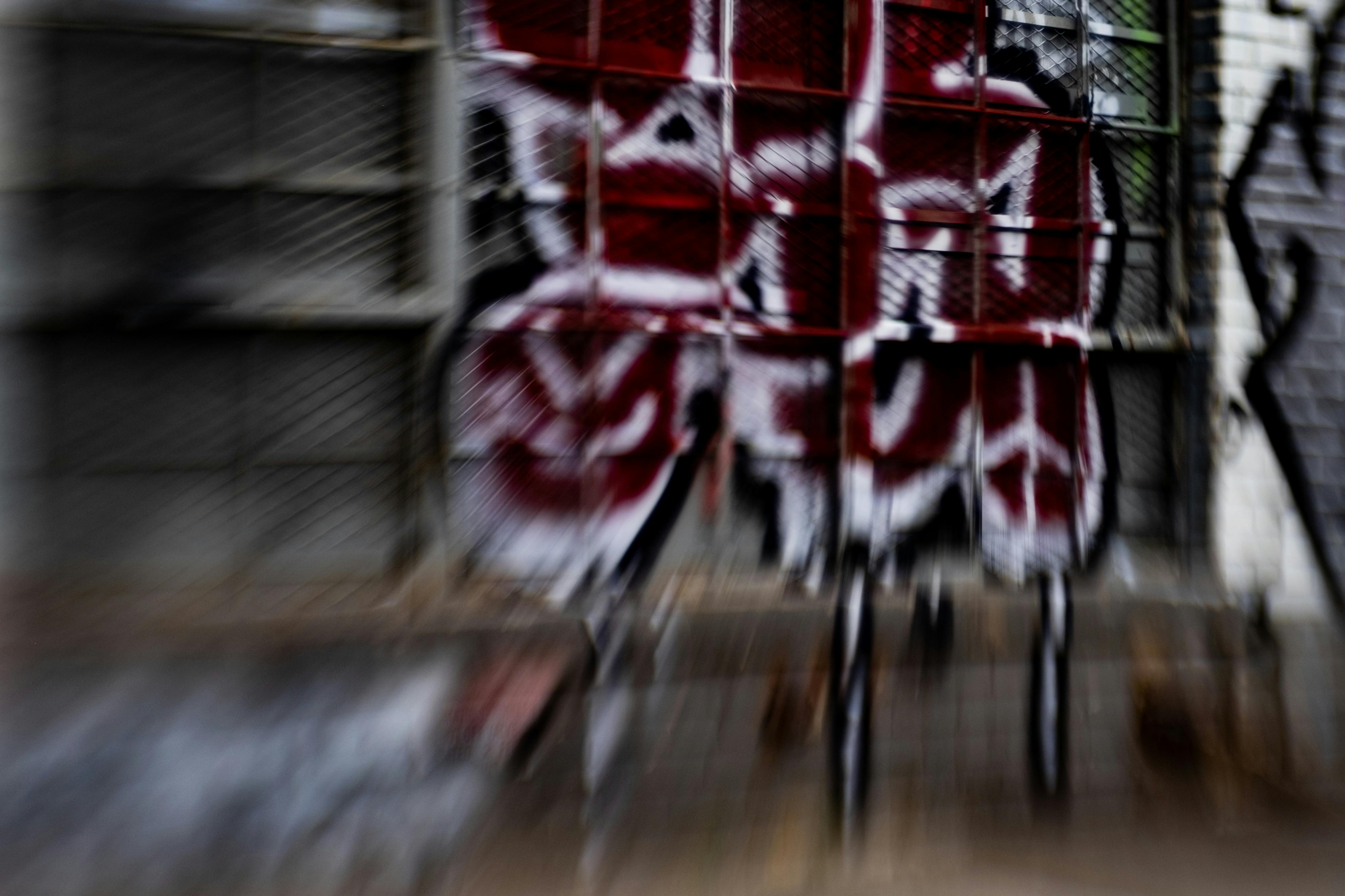 Carly O'Neil - Photography