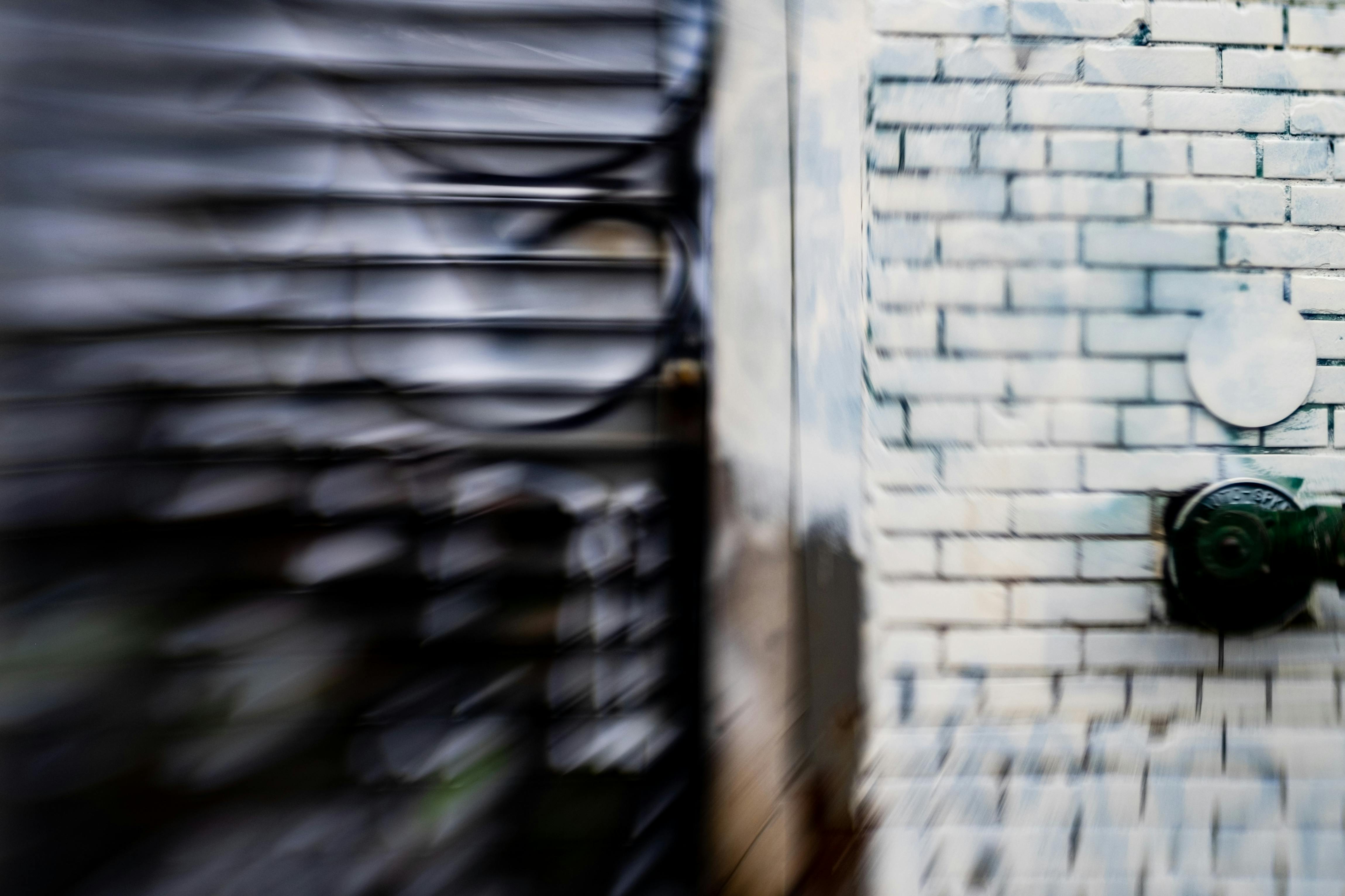 Carly O'Neil - Photography