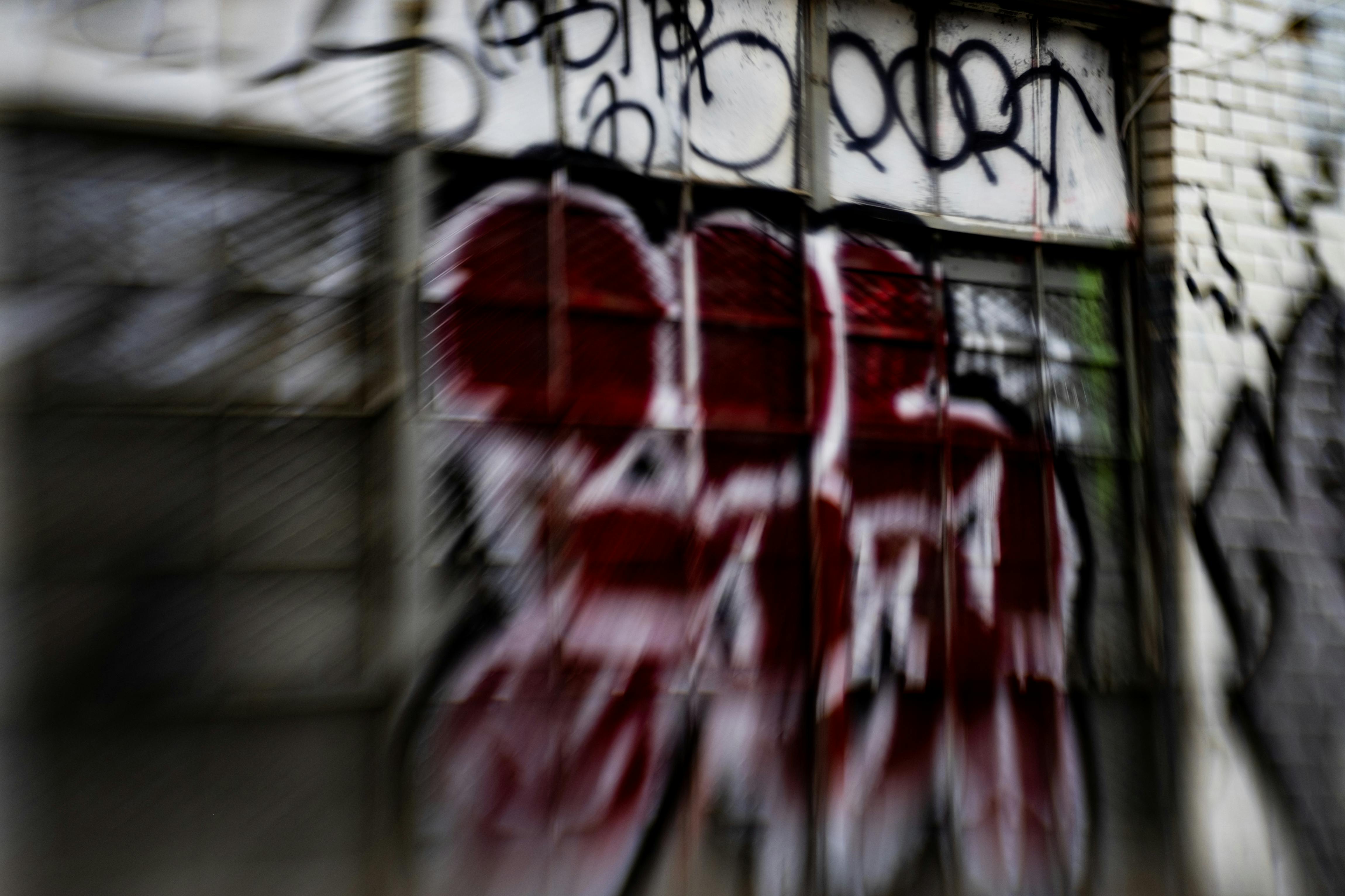 Carly O'Neil - Fotografía