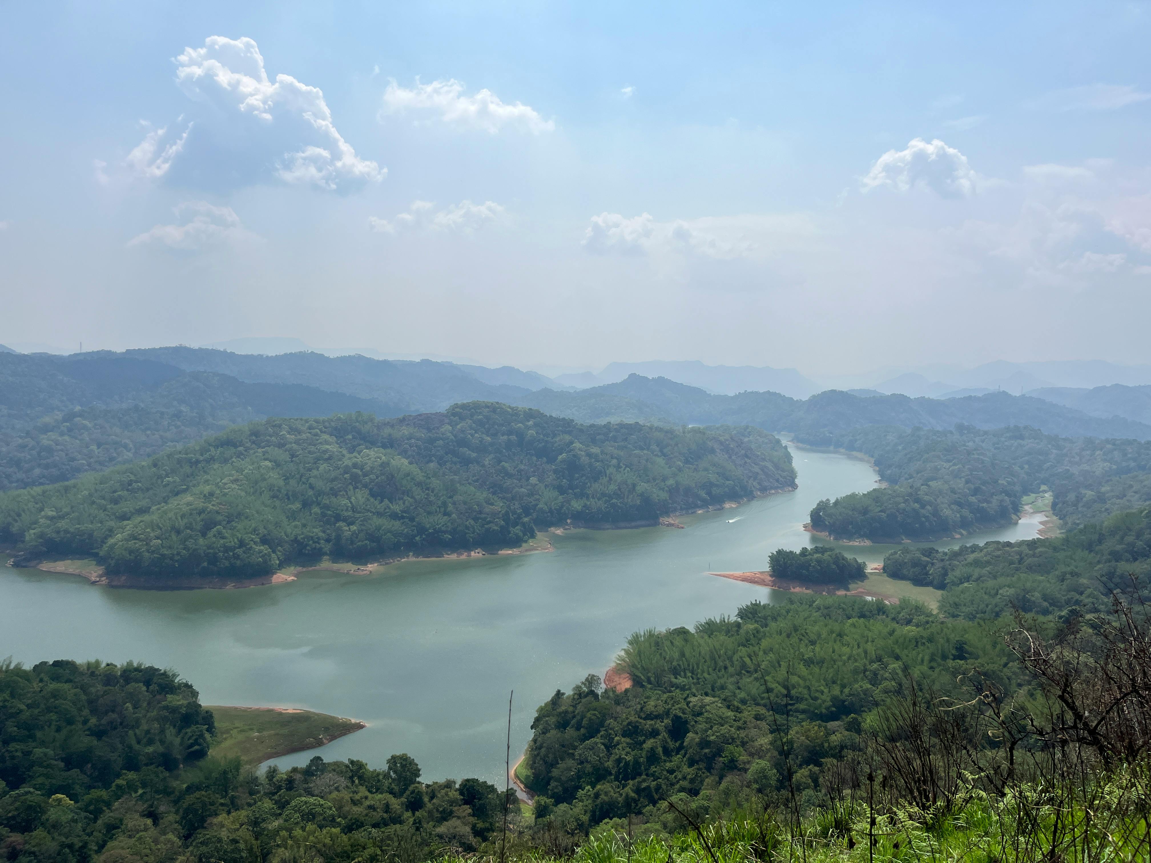 Forest Travel Photos, Download The BEST Free Forest Travel Stock Photos ...