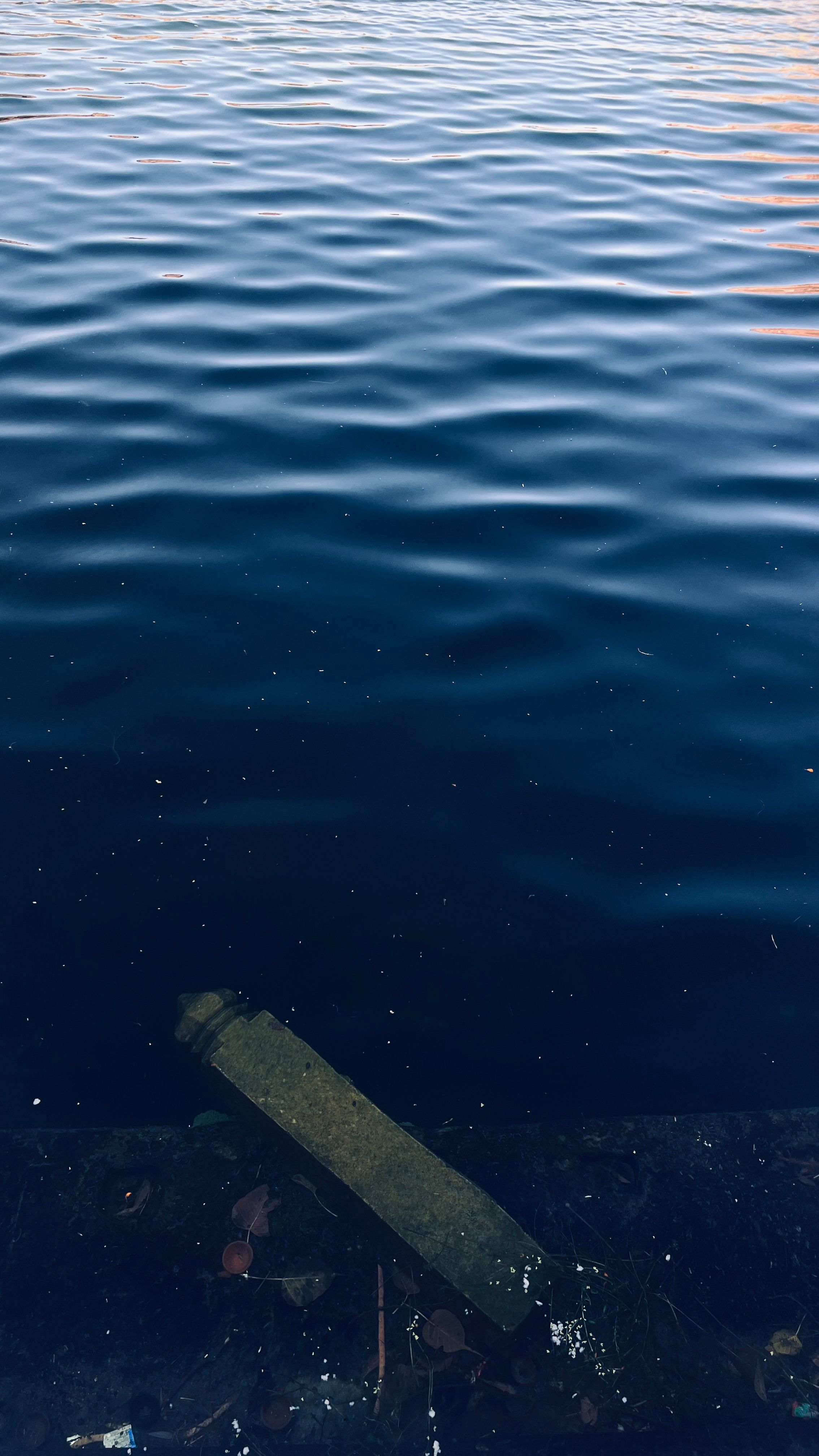 Close up of Water Surface · Free Stock Photo