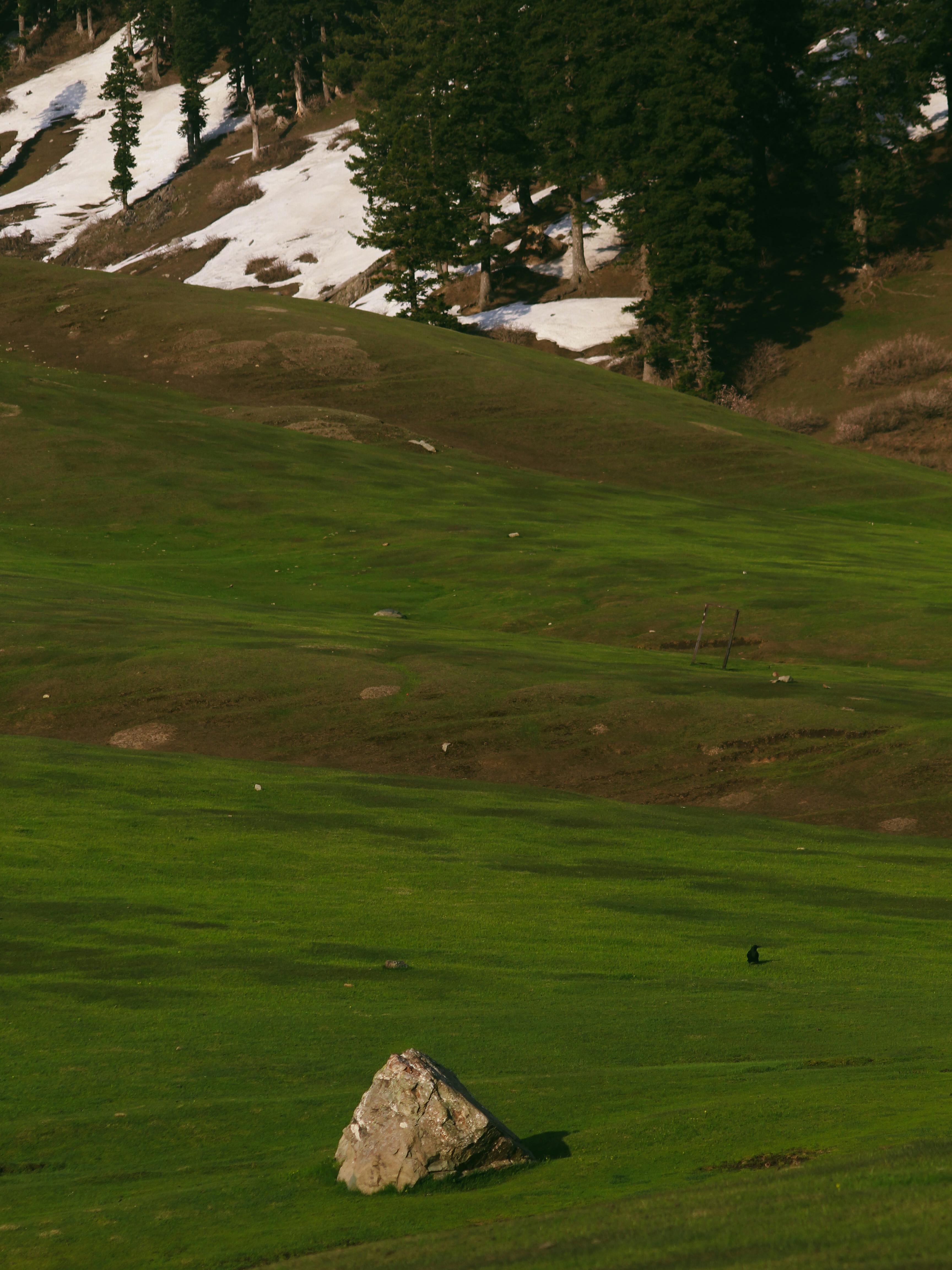 Bukit Puaka in Singapore · Free Stock Photo