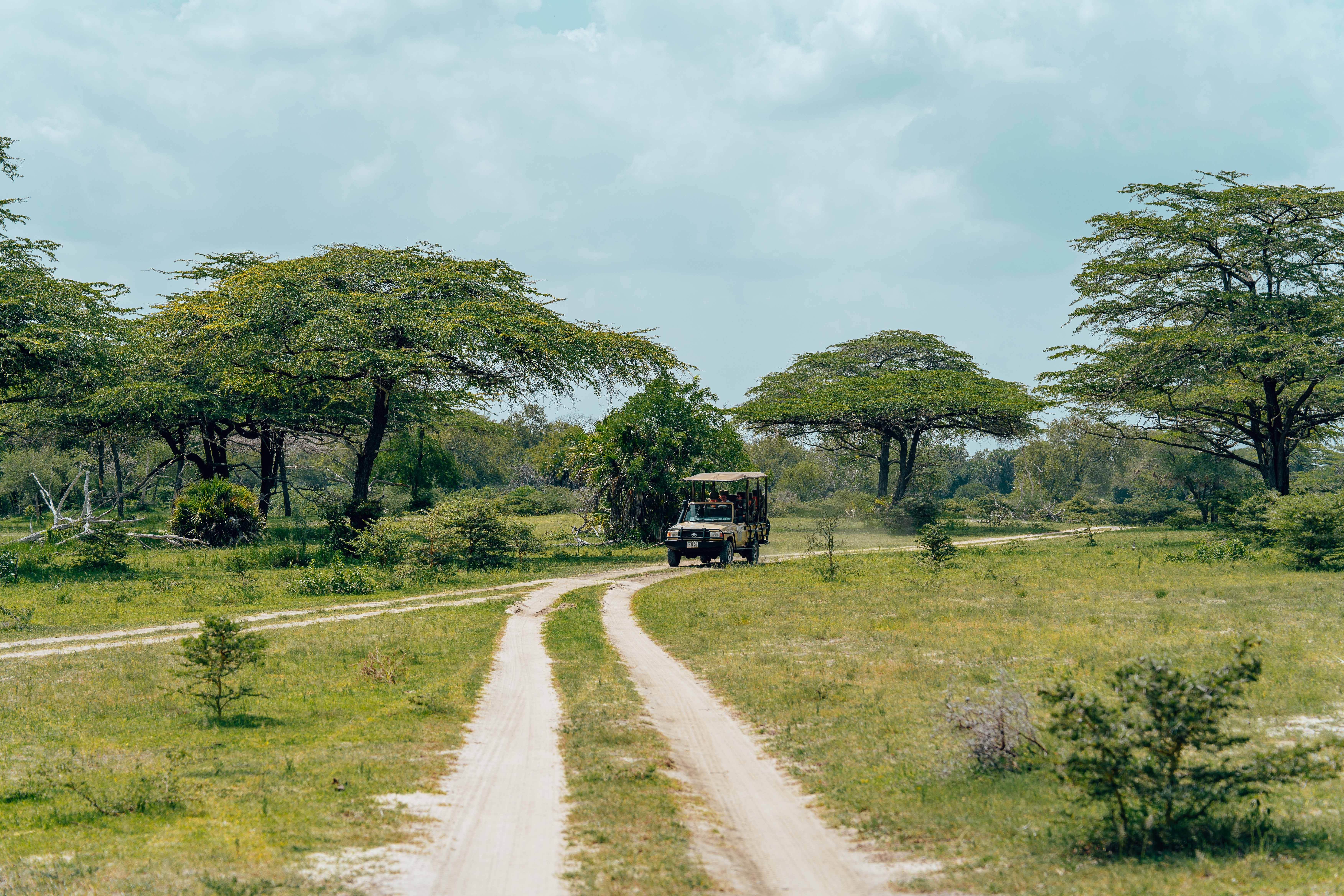 A Safari Vehicle Riding through Safari Landscape · Free Stock Photo