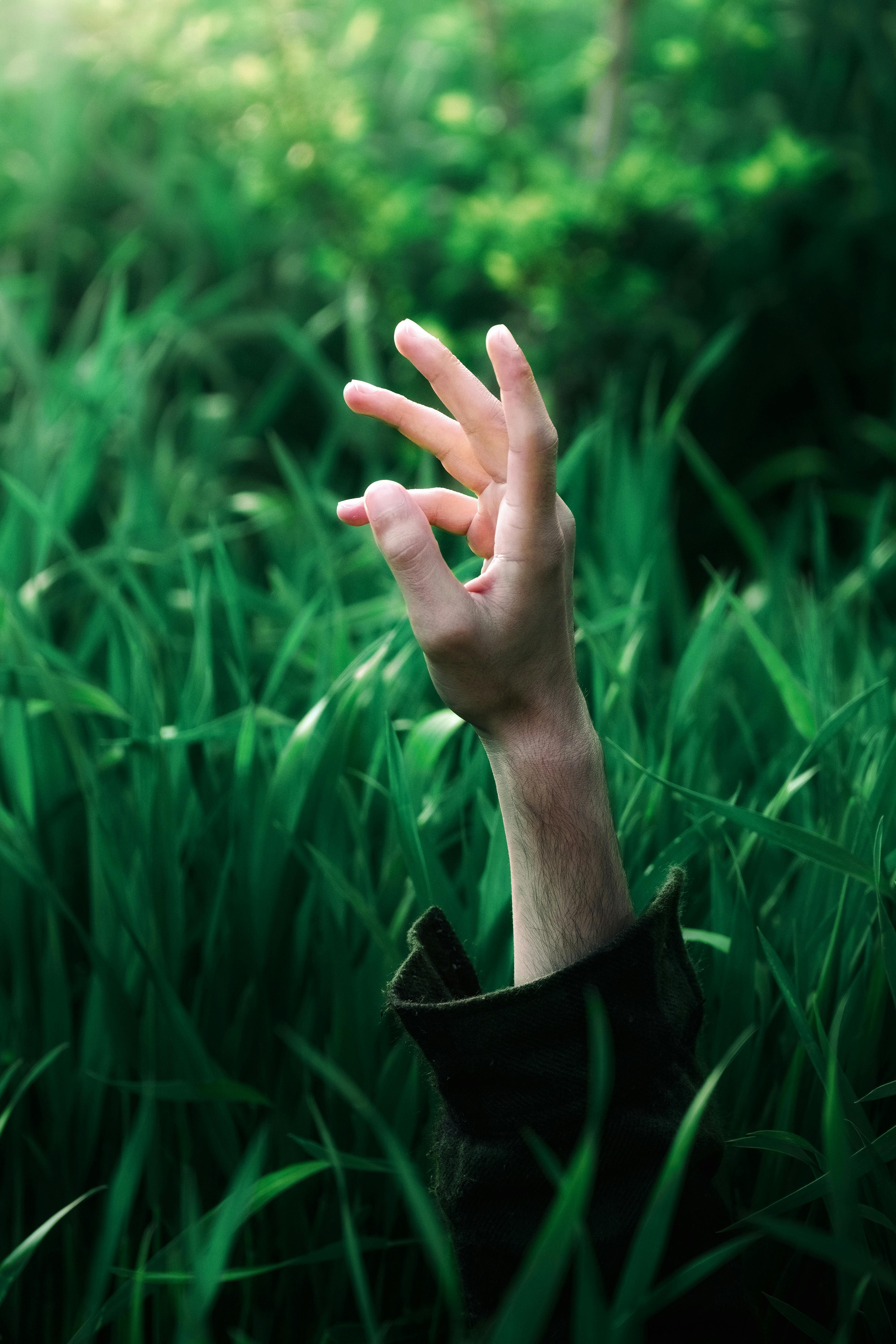 Raised Hand of a Man Lying in Tall Grass · Free Stock Photo