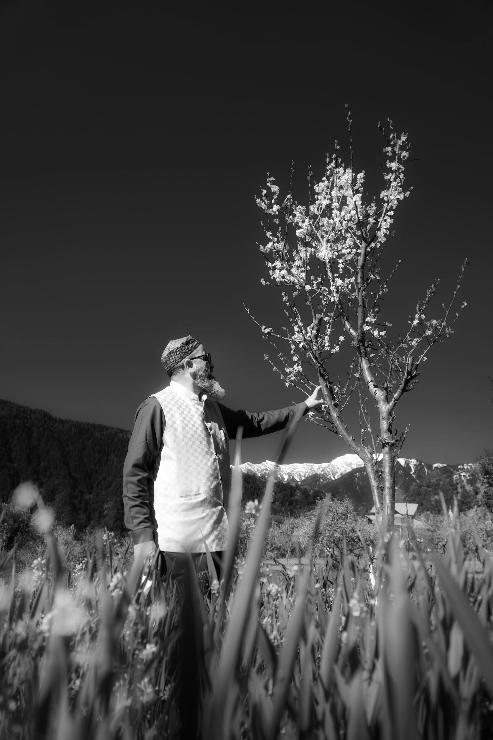 Man Looking Up Tree Photos, Download The BEST Free Man Looking Up Tree ...