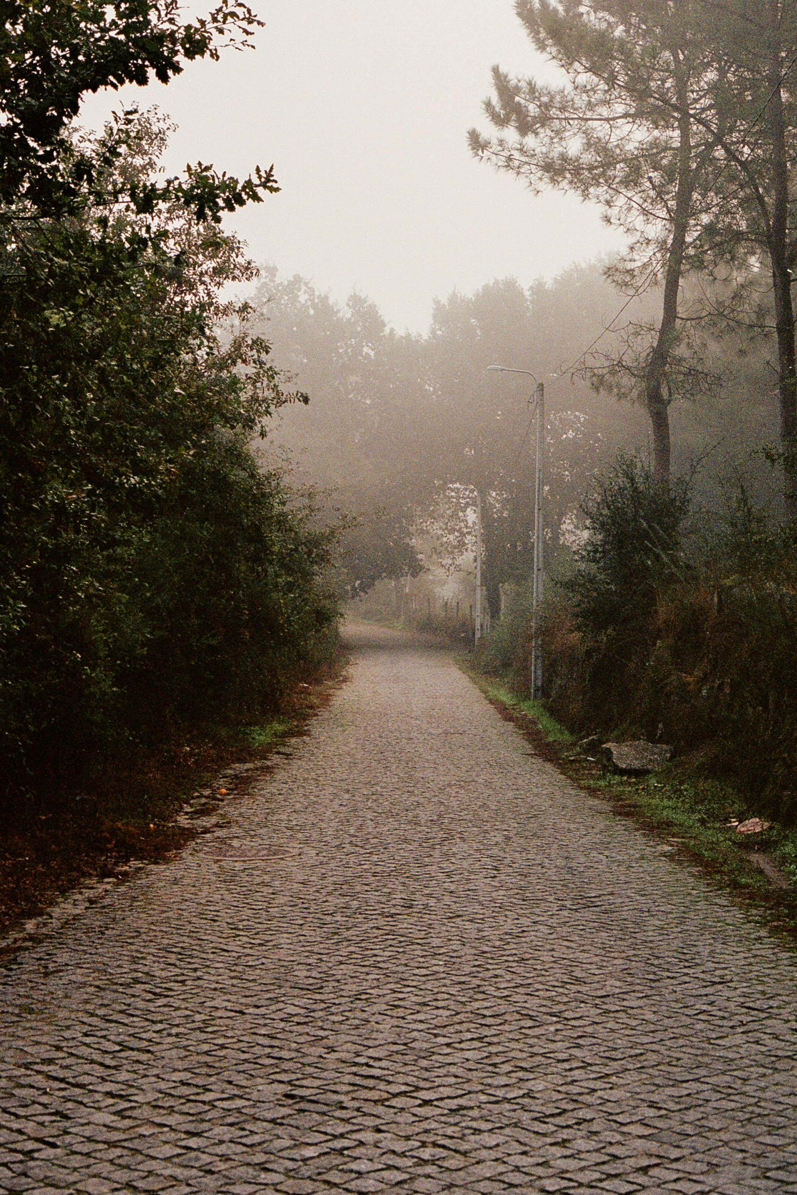 Portra Photos, Download The BEST Free Portra Stock Photos & HD Images