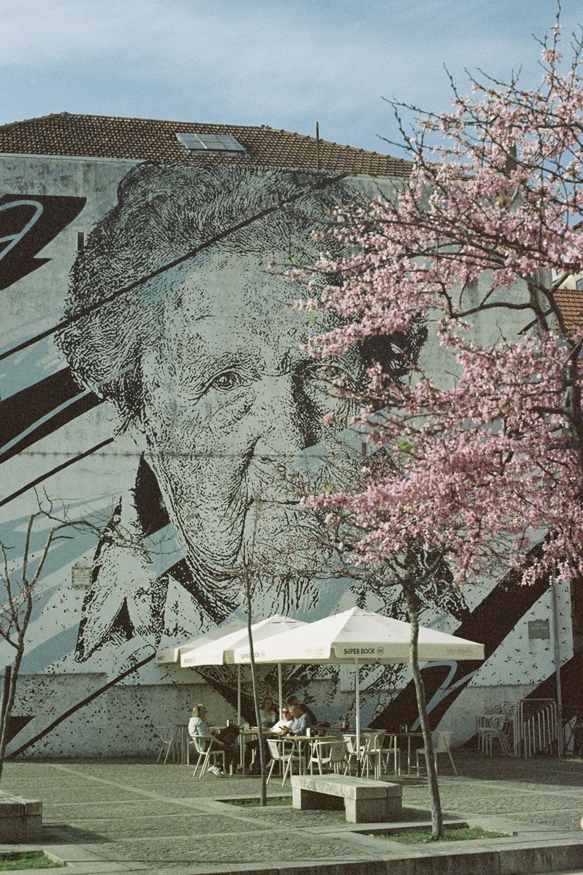 Spring Portugal Photos, Download The BEST Free Spring Portugal Stock ...