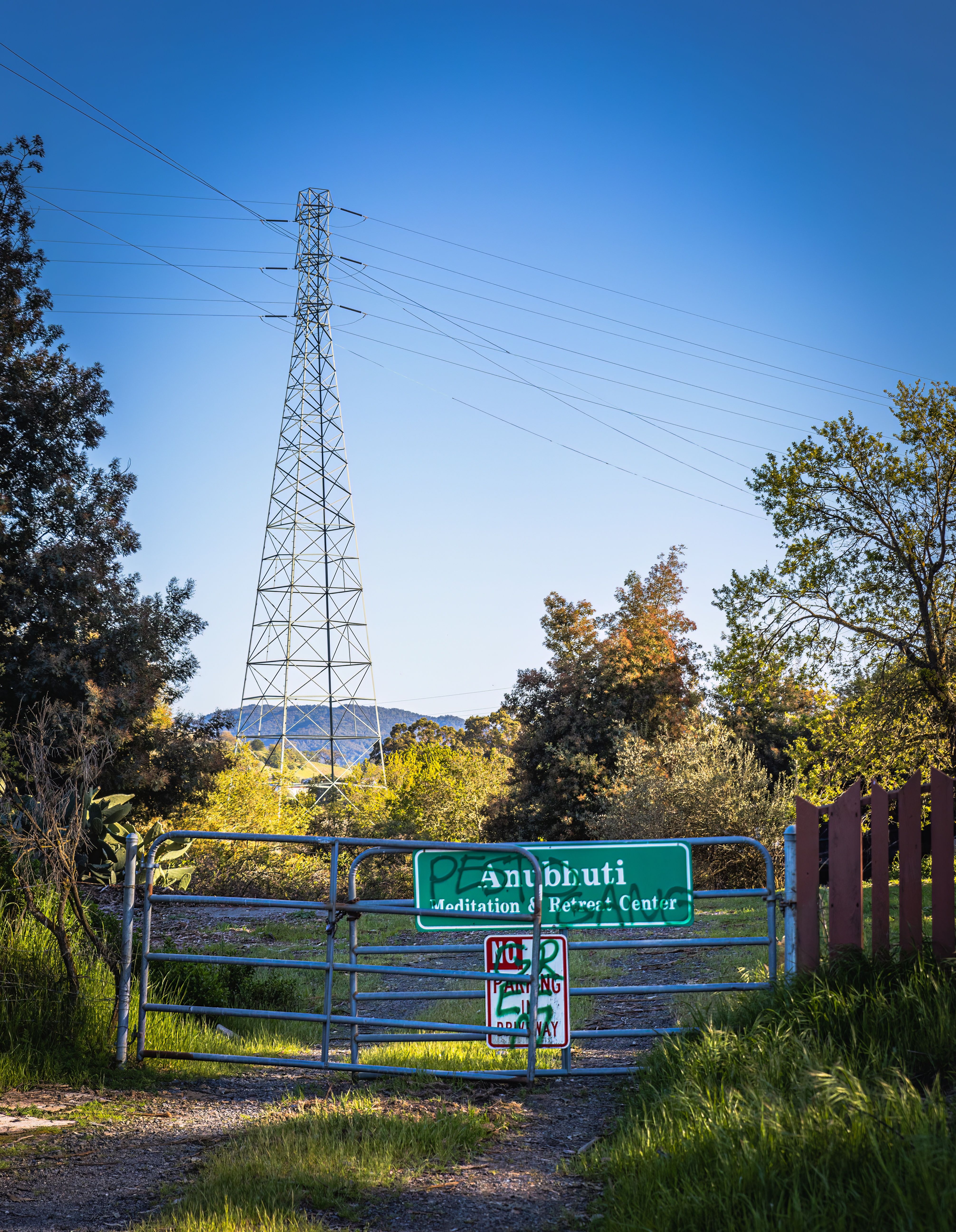 An Electrical Tower in the Forest · Free Stock Photo