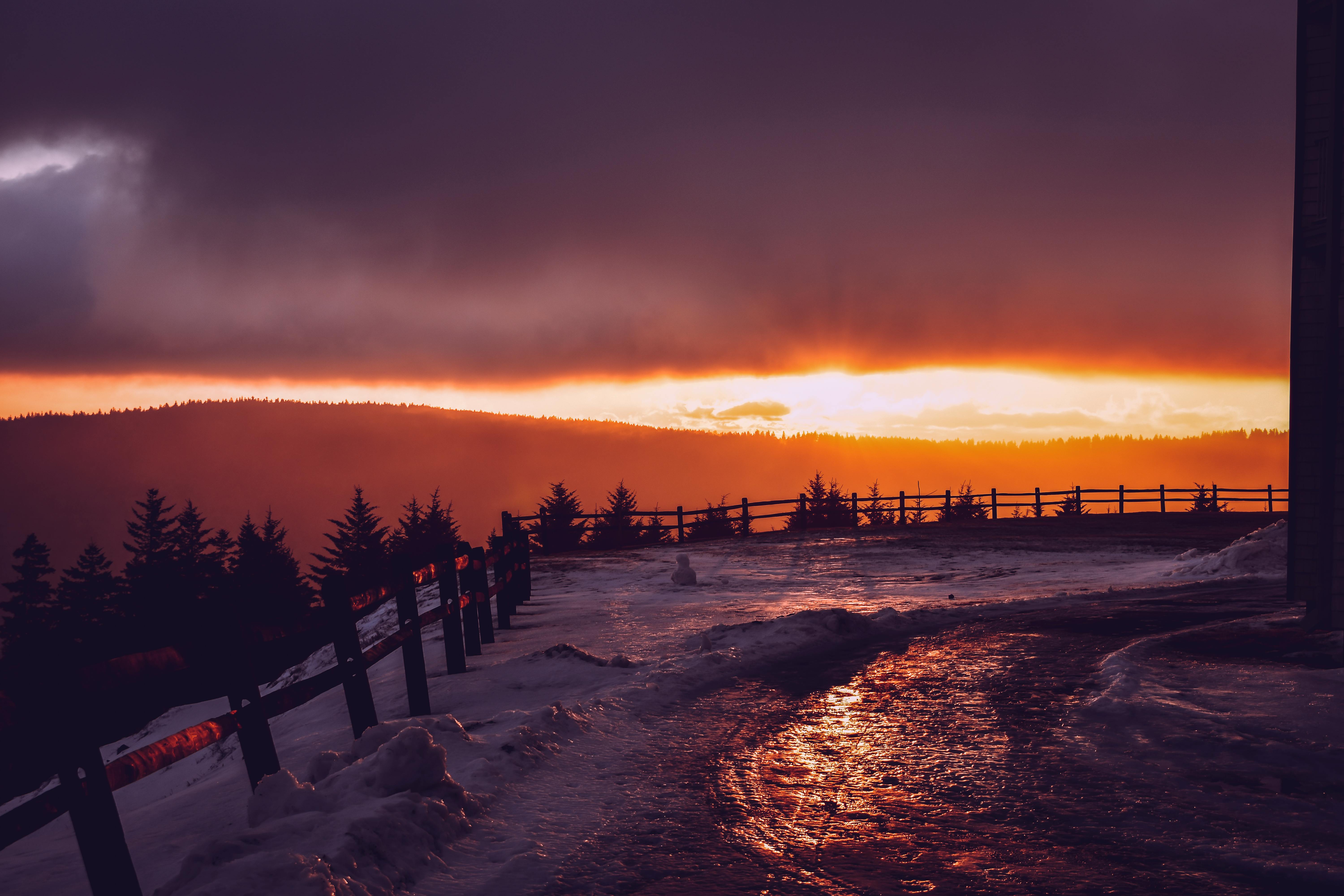 Free stock photo from Chris · Pexels