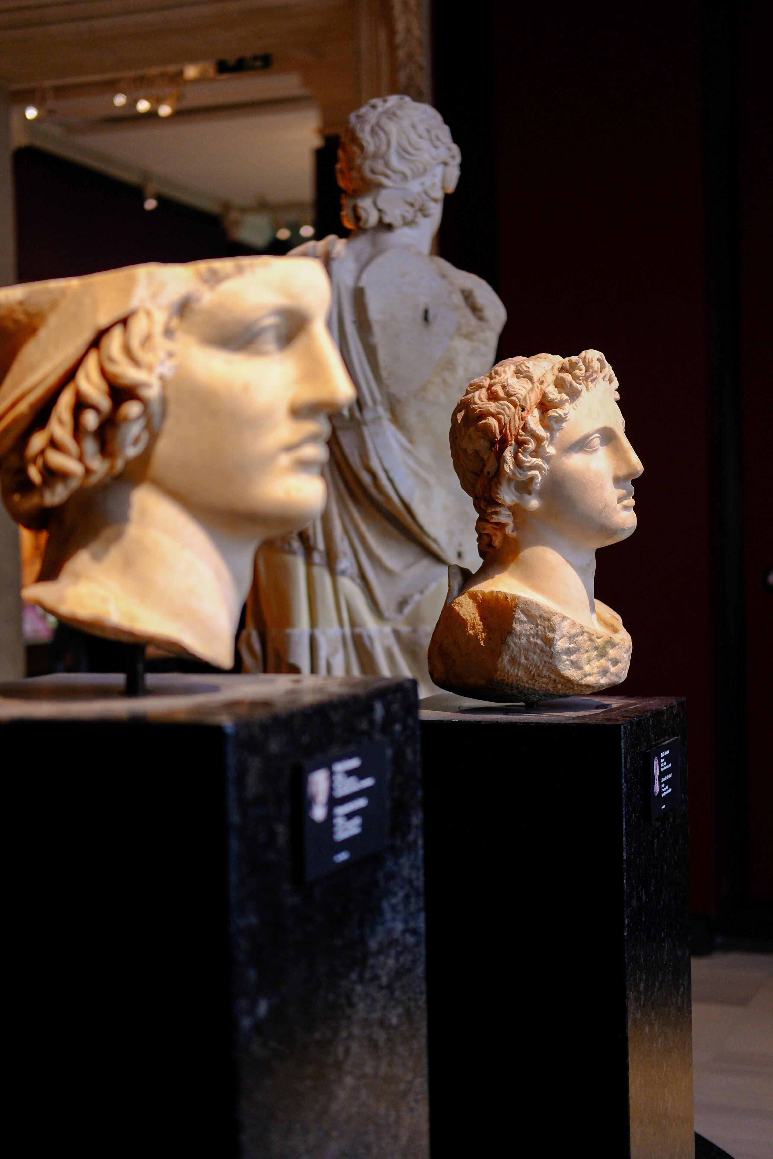 Classic Busts in Turkish Museum · Free Stock Photo