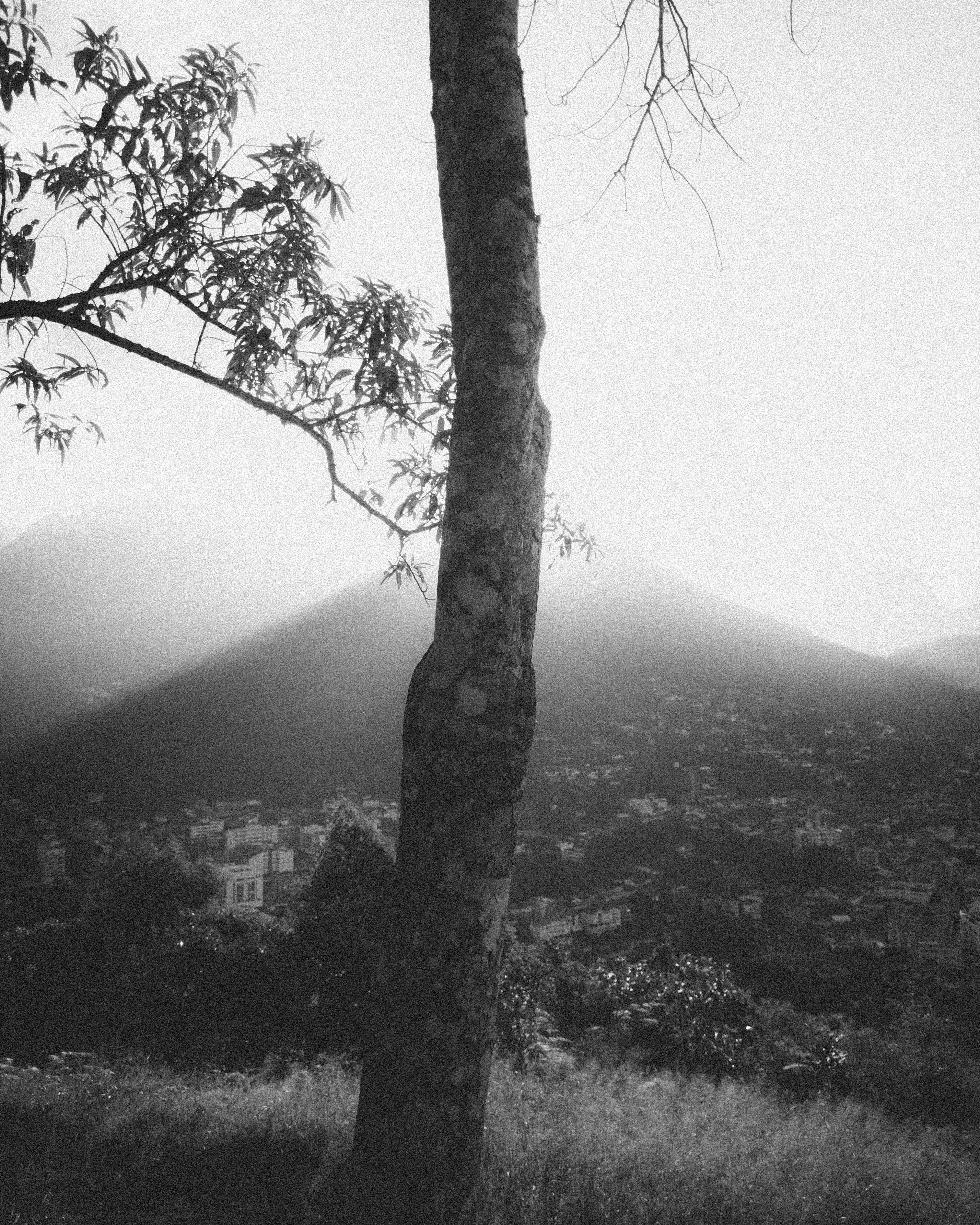 Building on Hills in Black and White · Free Stock Photo